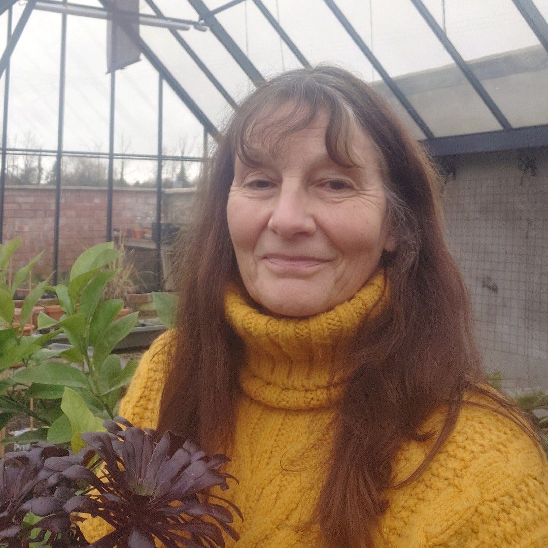 Sally Morgan | Substack