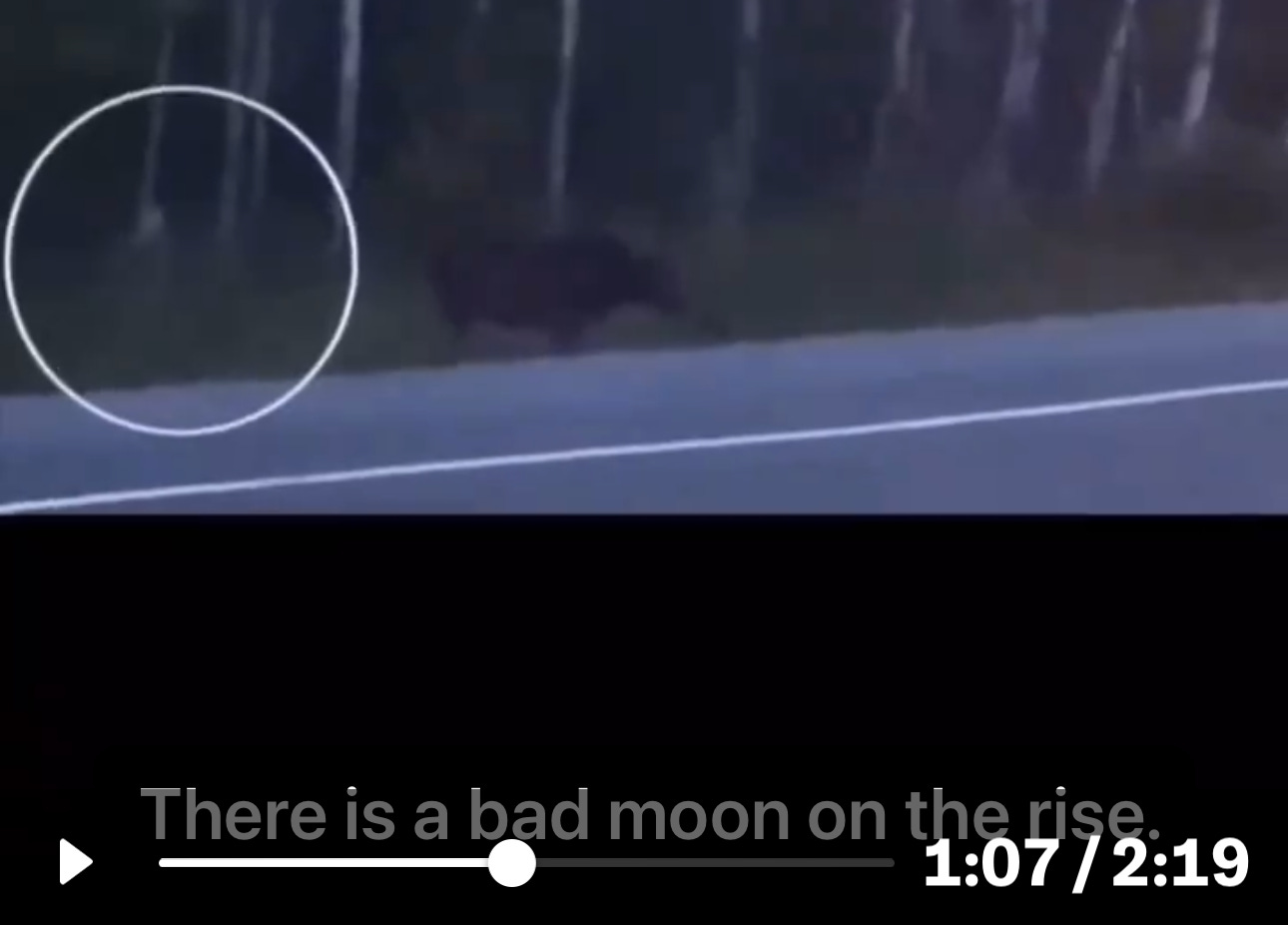 PART 1: Uncategorized Subterranean Lifeforms (USLs): Pale Crawlers ...