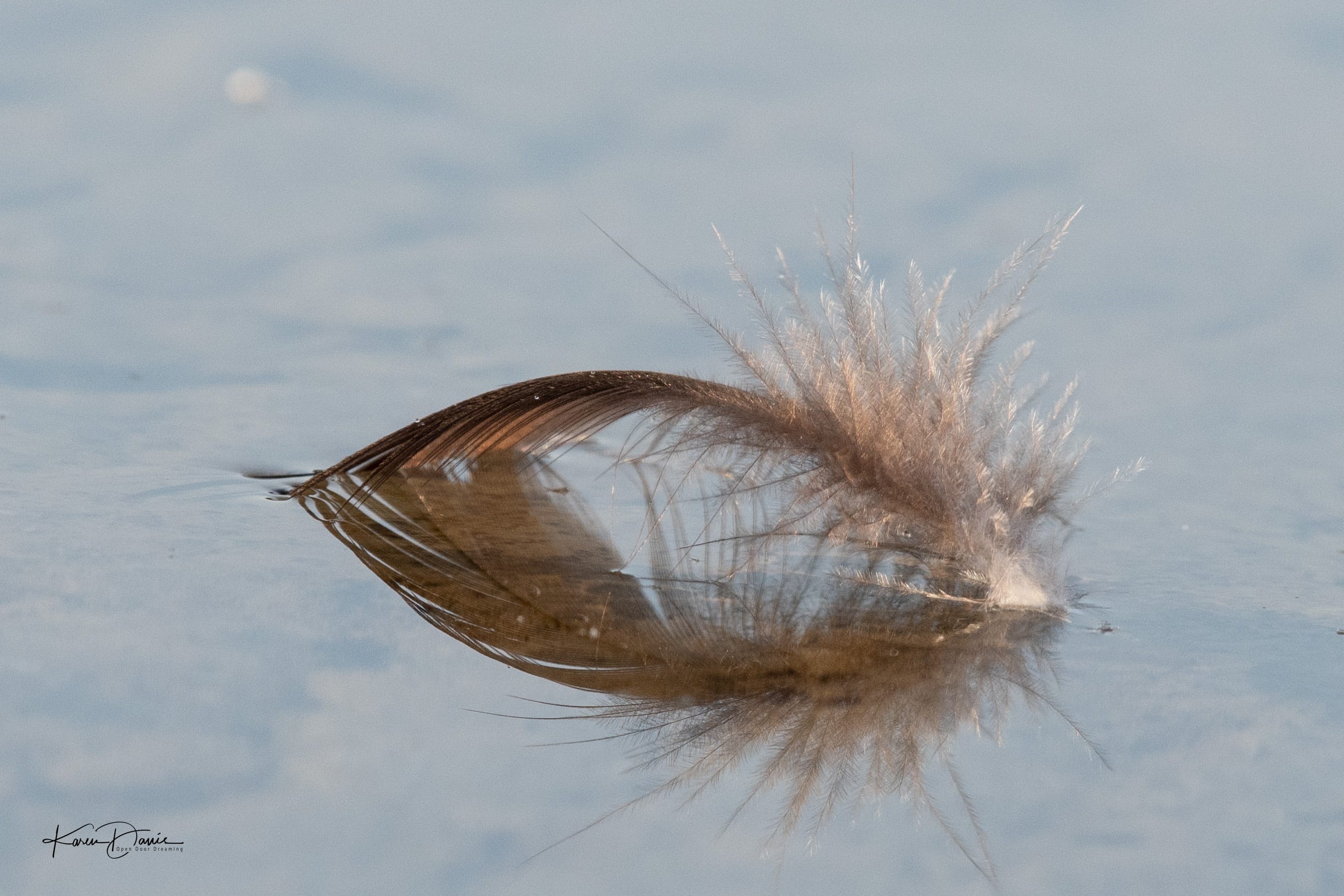 Lead With Your Heart - by Karen Davis