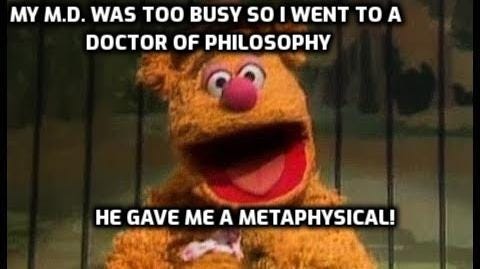 sunday dad jokes - by el gato malo - bad cattitude