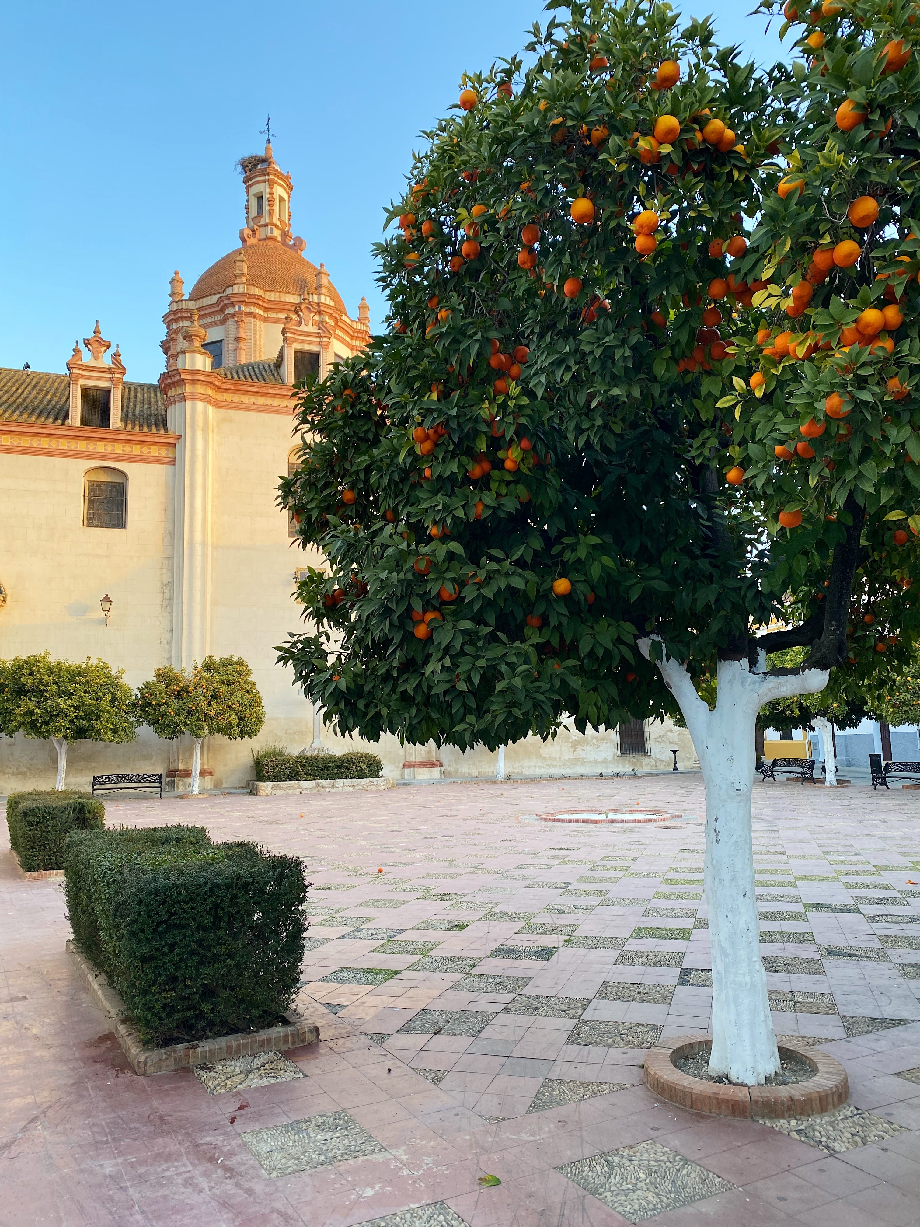 January - by Florence Blair - bits & bobs