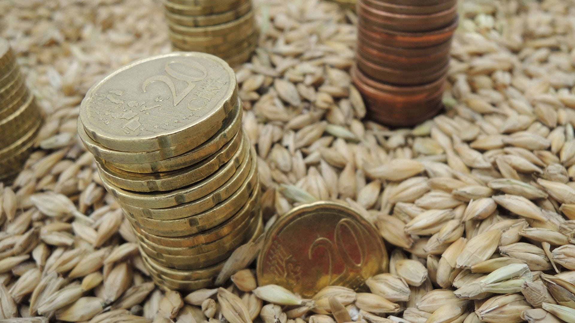 How to Start Planting Seeds of Prosperity, Happiness, and Abundance