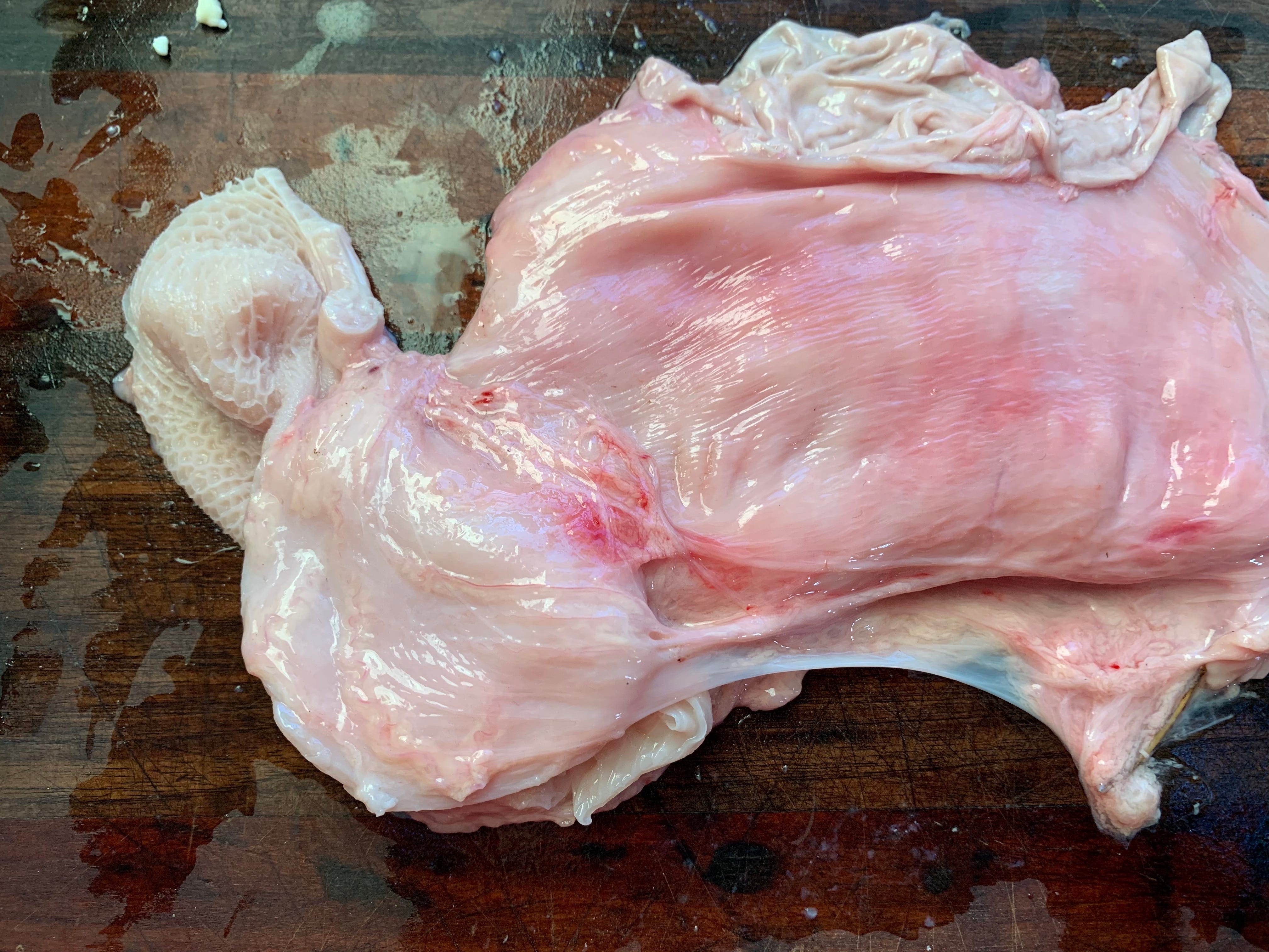 How to Make Animal Rennet - by Quinn - Plow in Hope