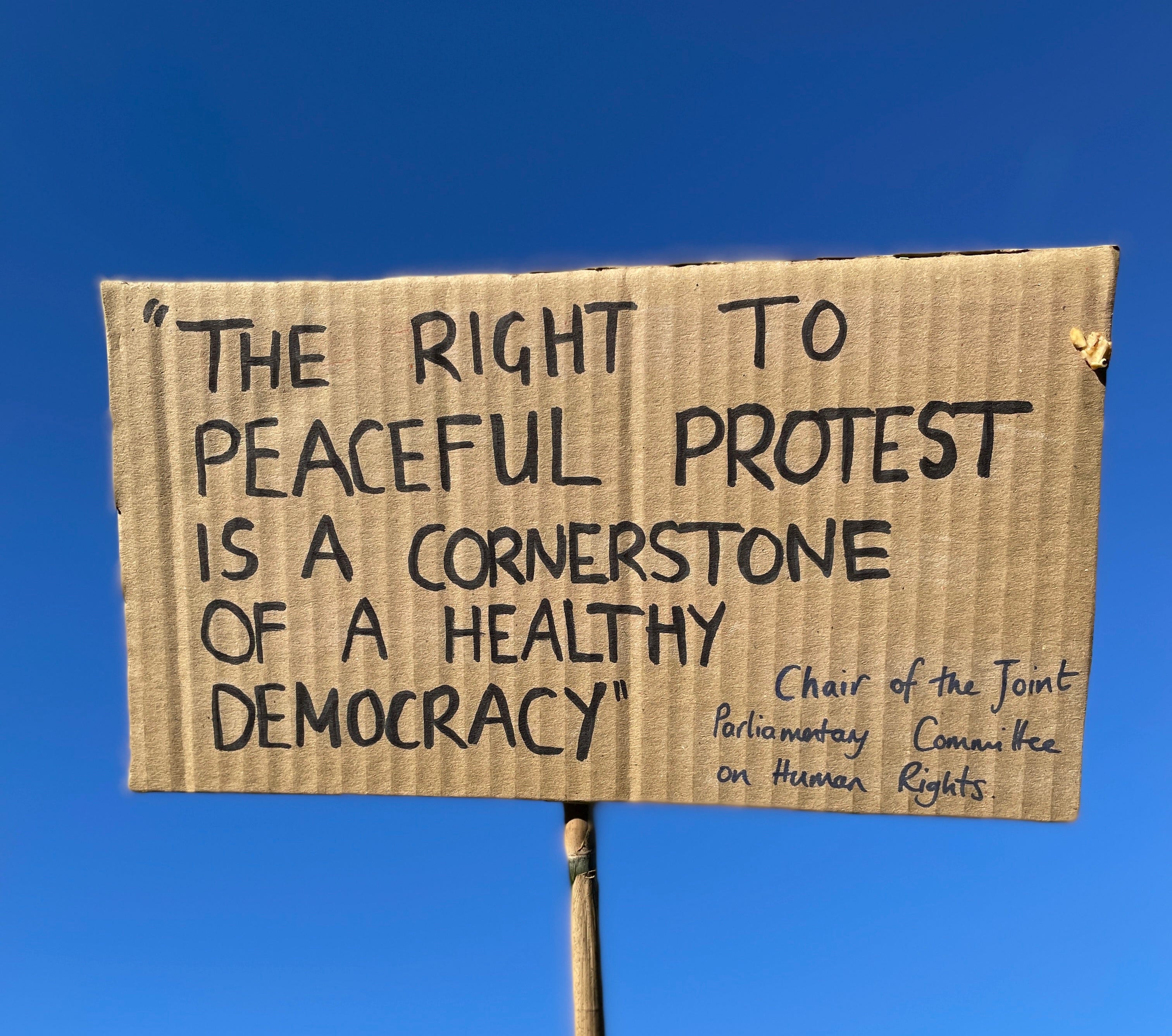 I protest. - by Rowan Ryrie - Rowan’s Substack