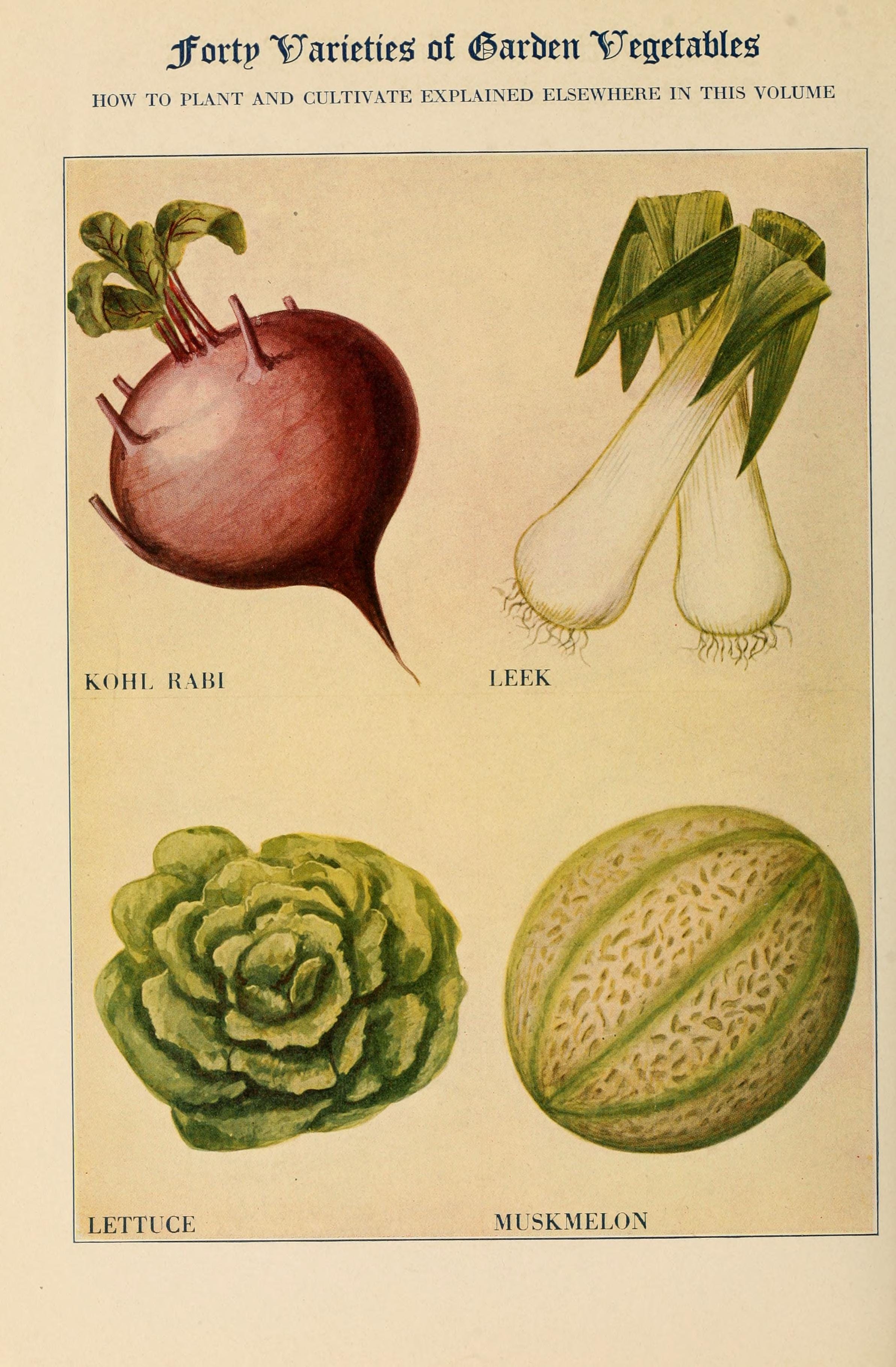 Is it normal to cry over rotten produce?