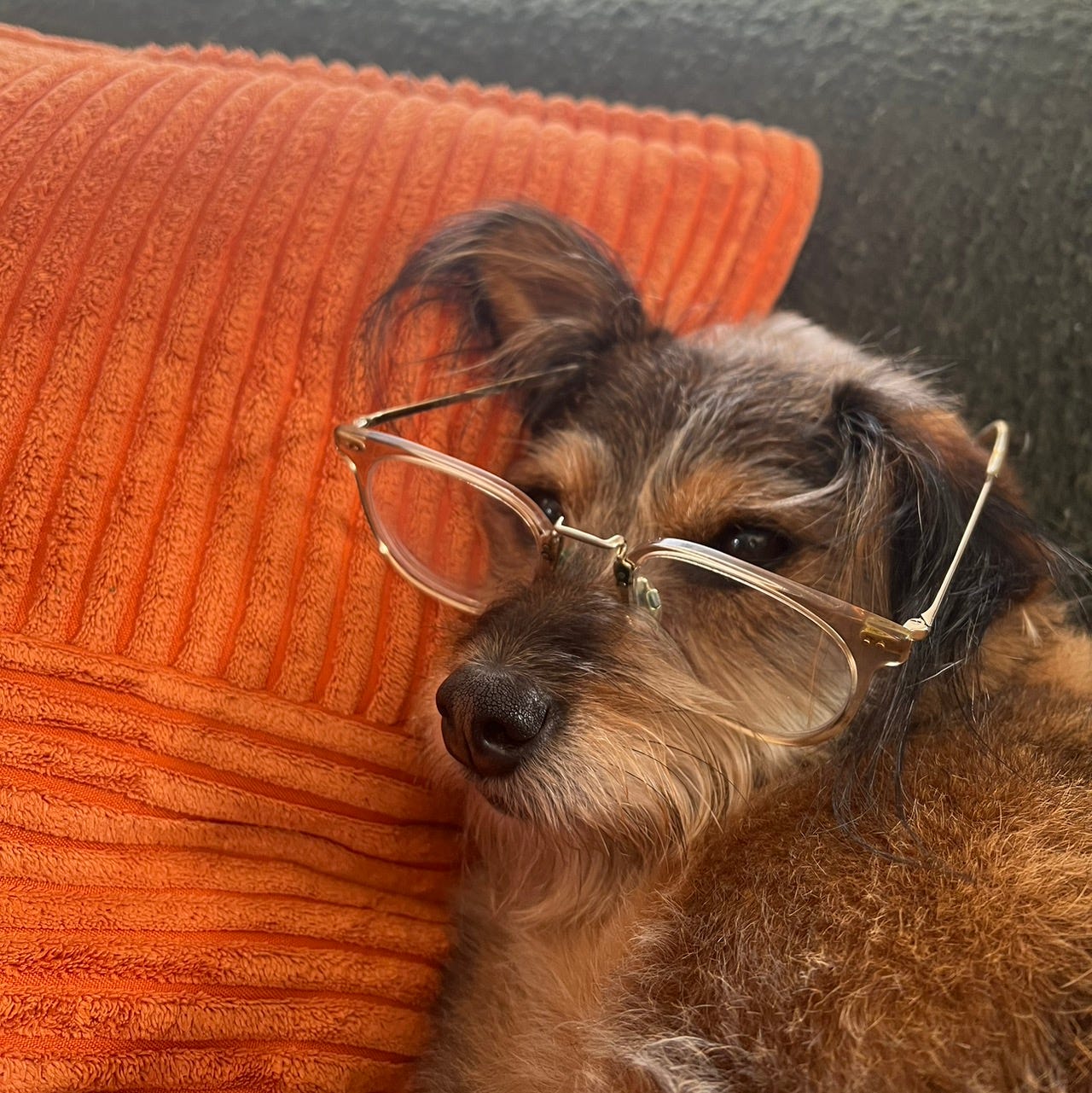 Chuck Cruz | Substack