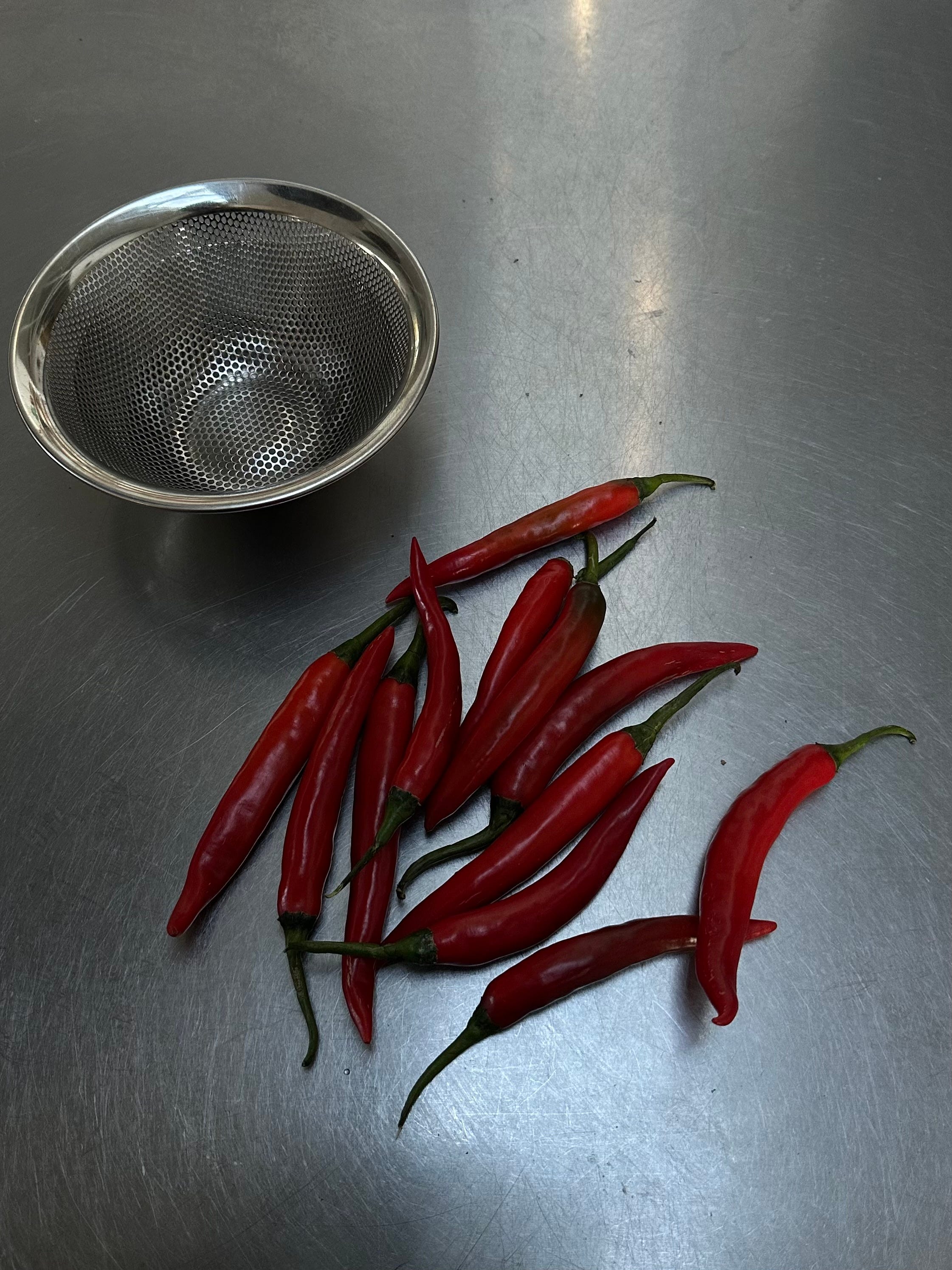 Pickled chilli - Carter’s Cooking