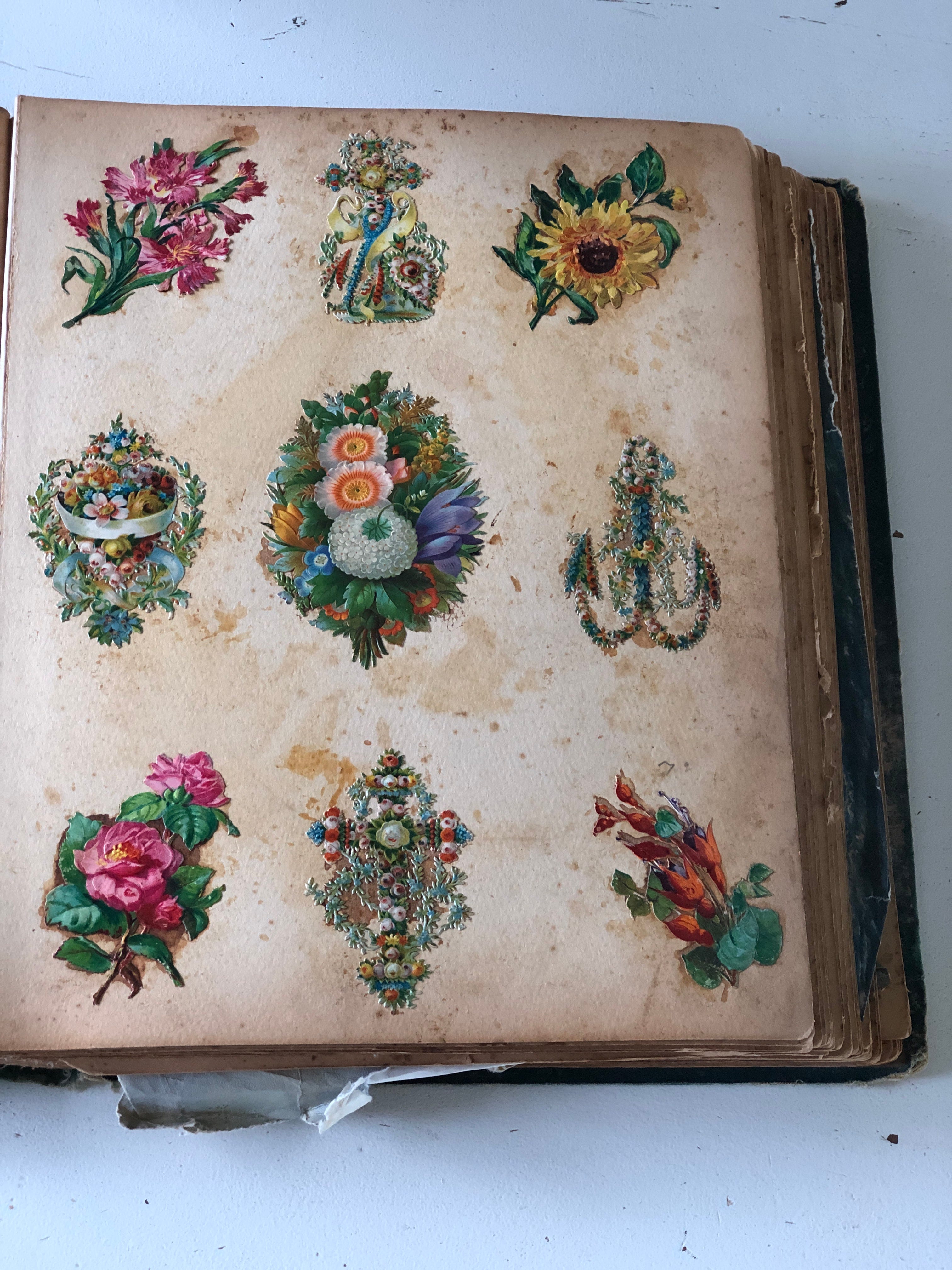 Dear Nan: A 1930s and 40s Childhood - Betty Mae Wrote