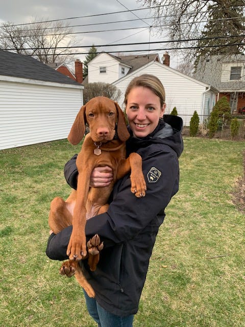 Jamie Rossi | Substack