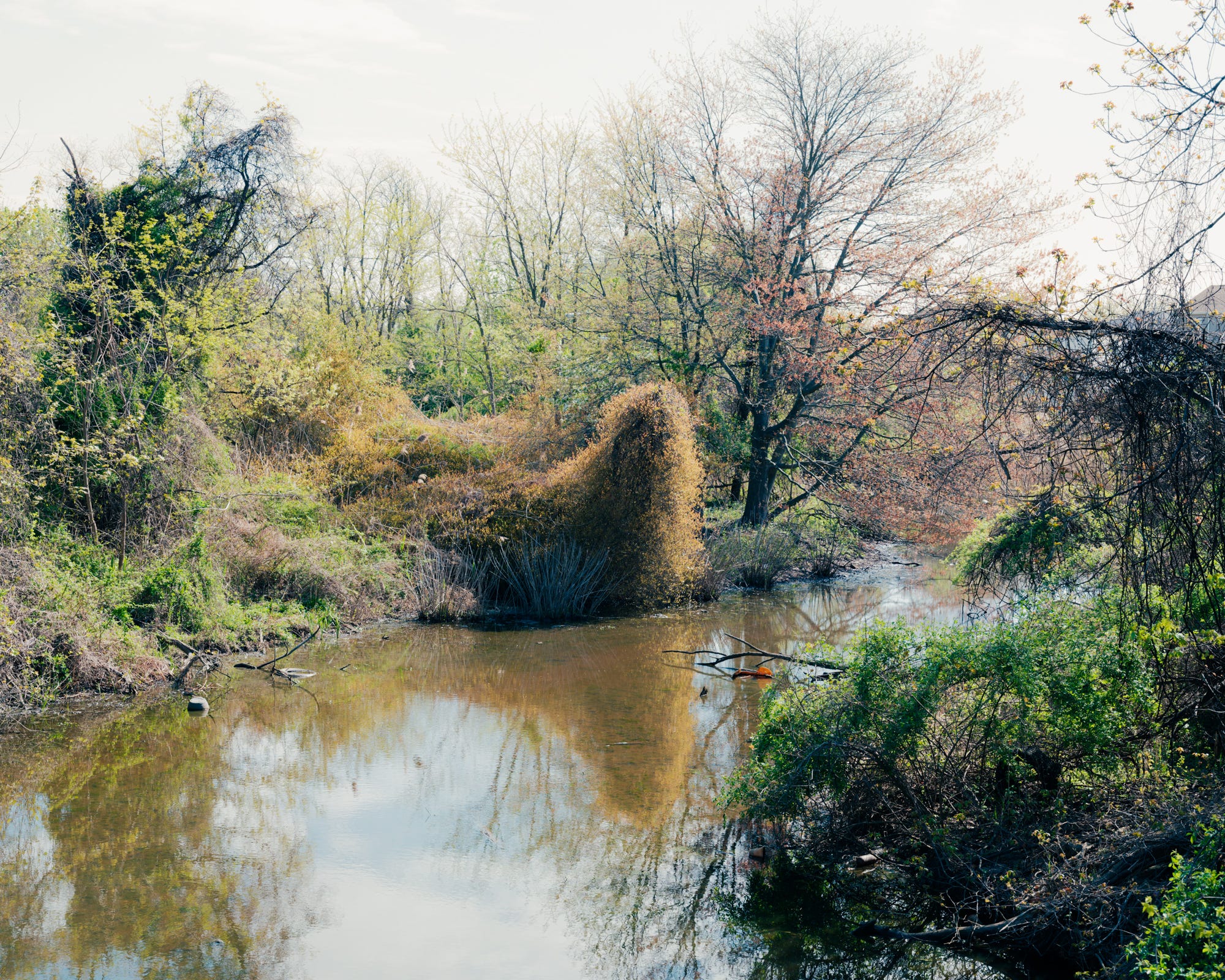 Midland Beach - Bonus - by Rob Stephenson