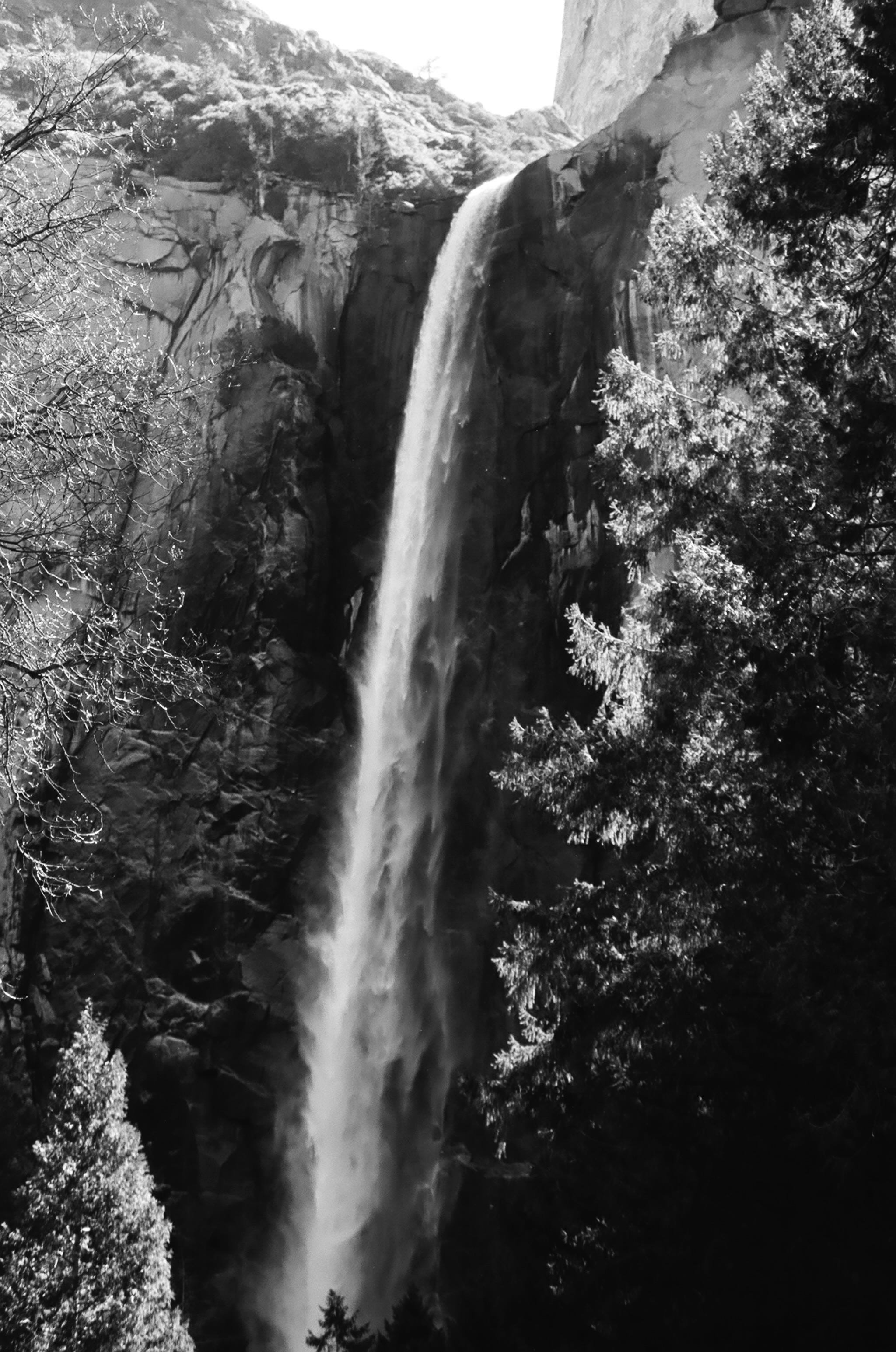 Core, Food, and Simplicity - by Janet Salsman