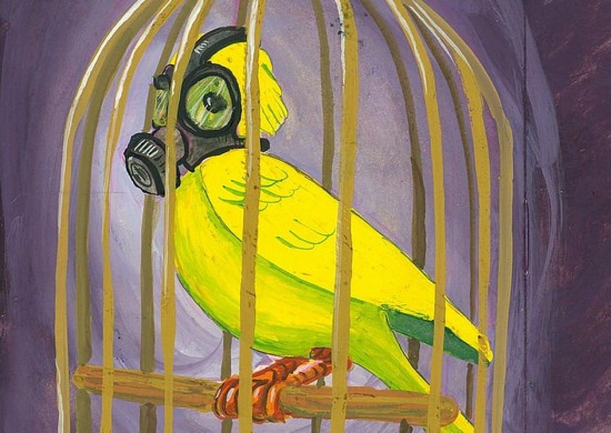 Canary in a Coal Mine - by CC4SG