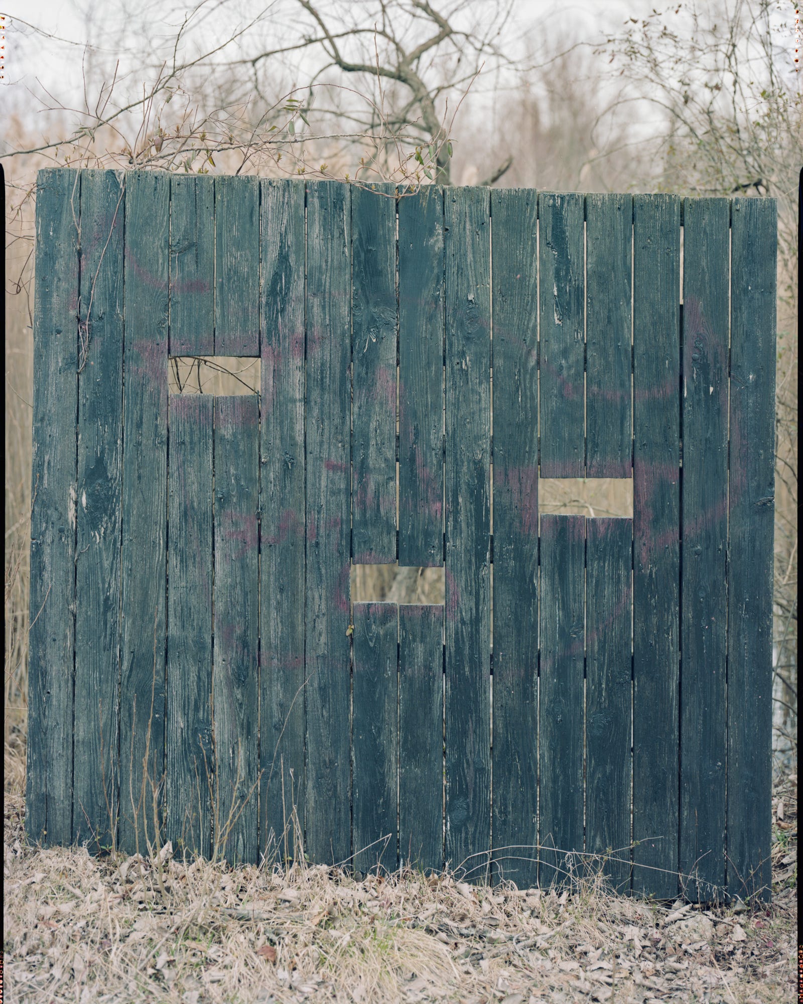 Mariners Marsh Bonus - by Rob Stephenson