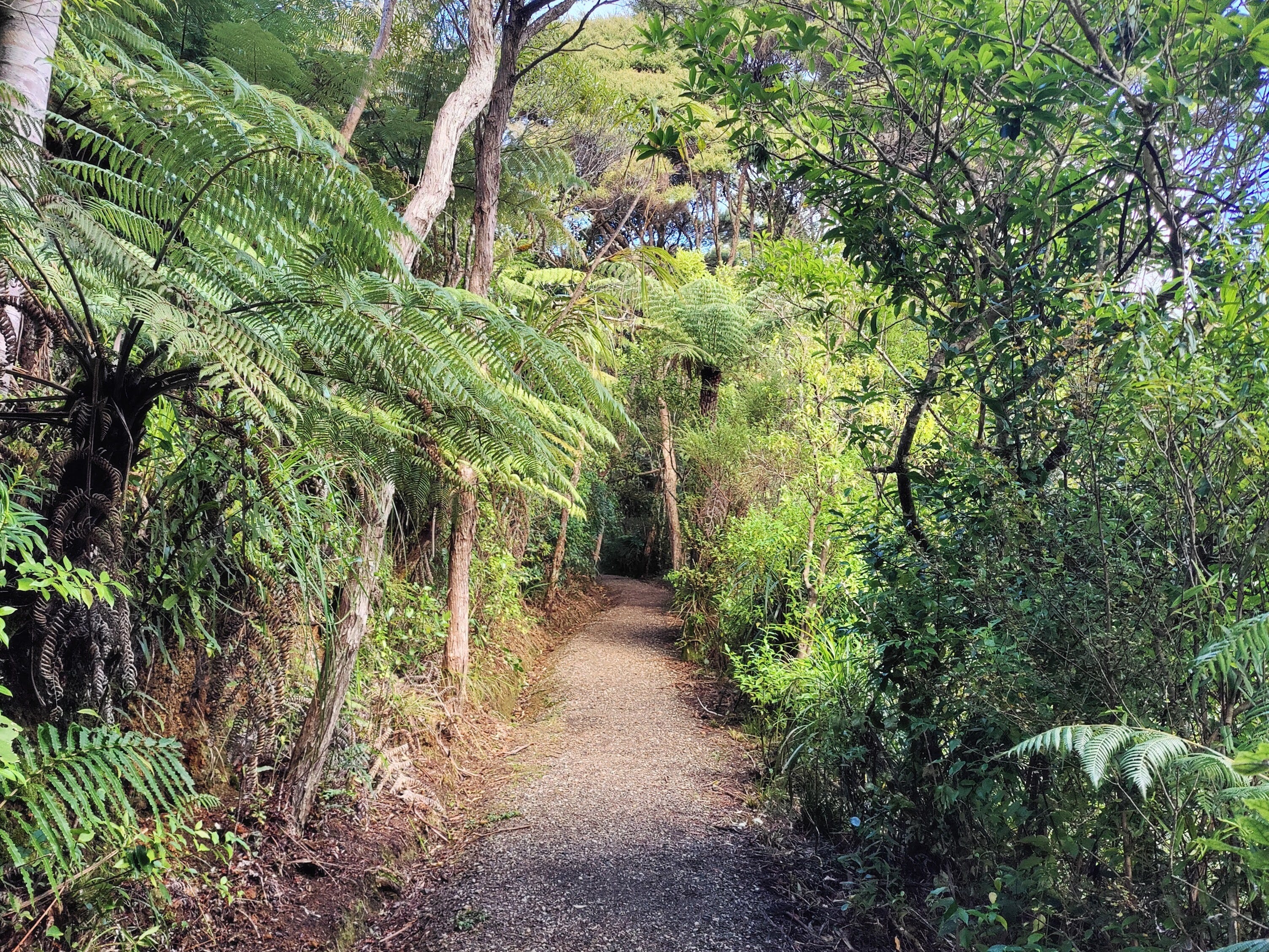 Hike the Hillary Trail original route, via Kitekite Falls