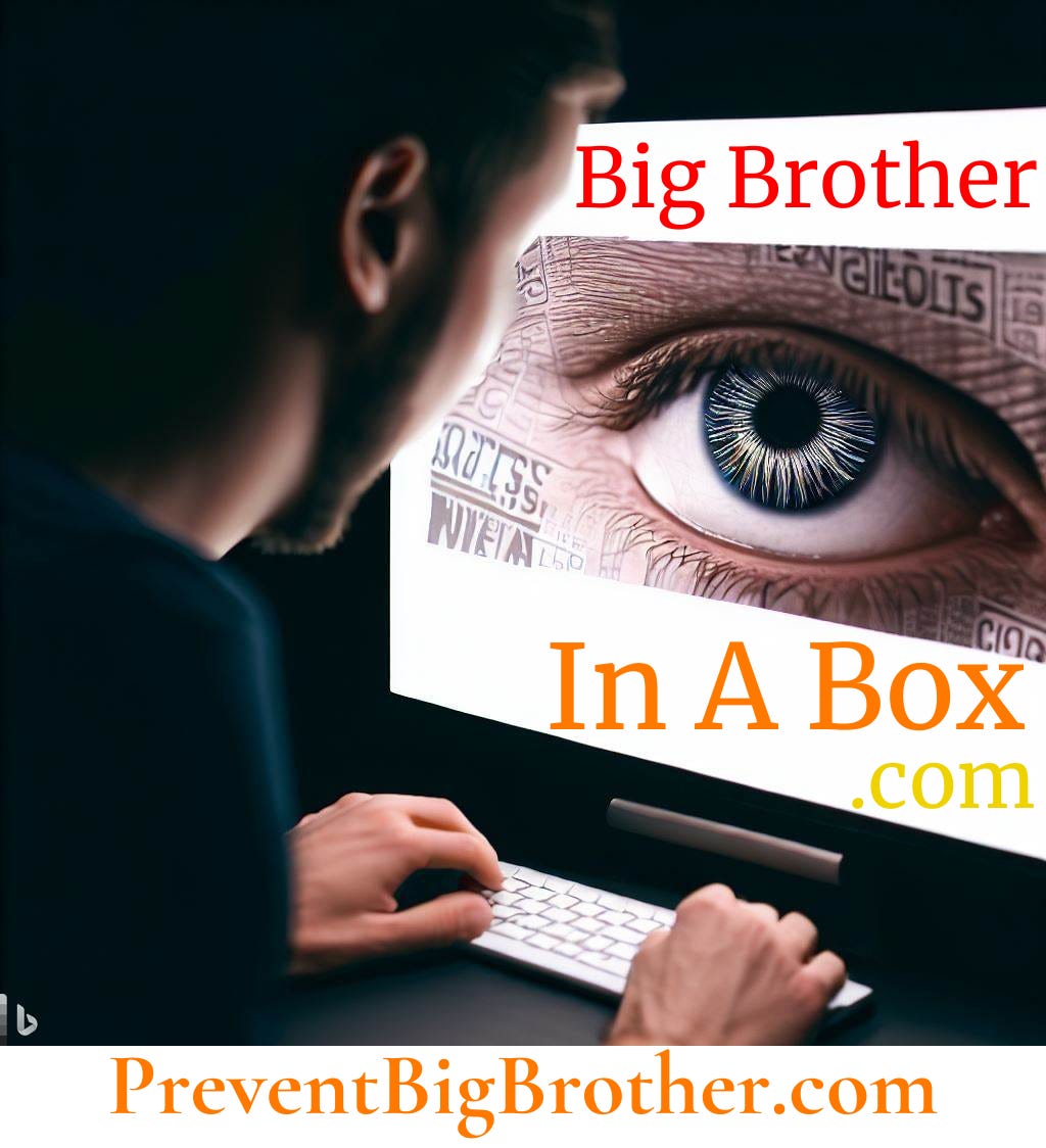 Big Brother In A Box - Society and AI Substack