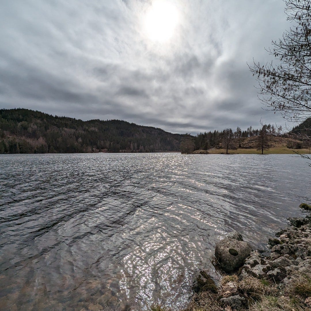 Ryan Daniel Appleyard | Substack