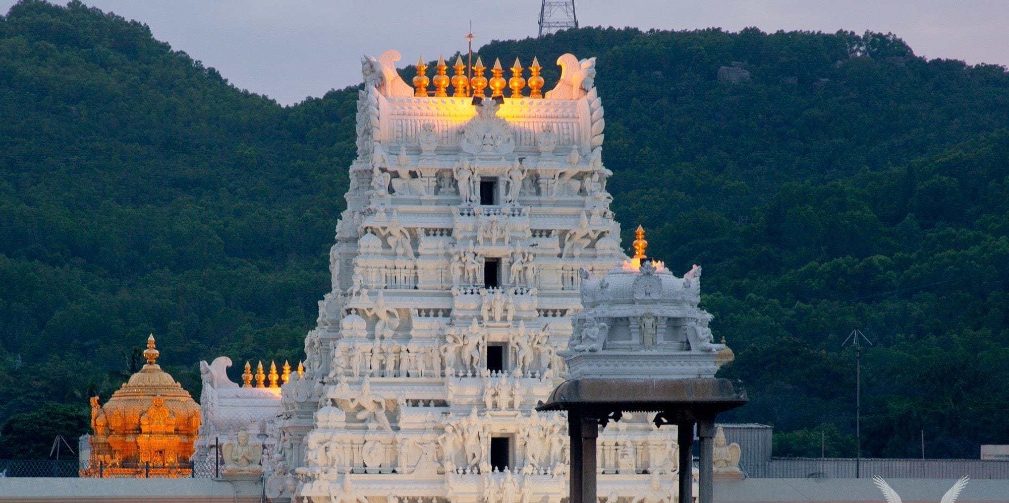 Tirumala Venkateswara Temple: A Divine Journey Through History & Faith