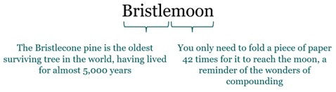 About - Bristlemoon Capital