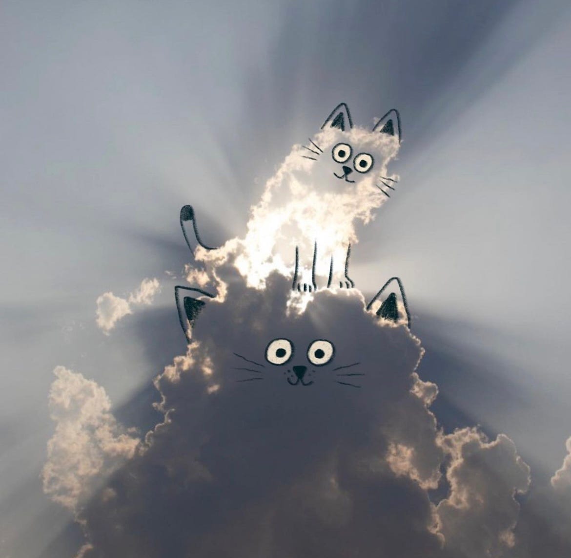 Calling all aliens & orphans of a crowded sky