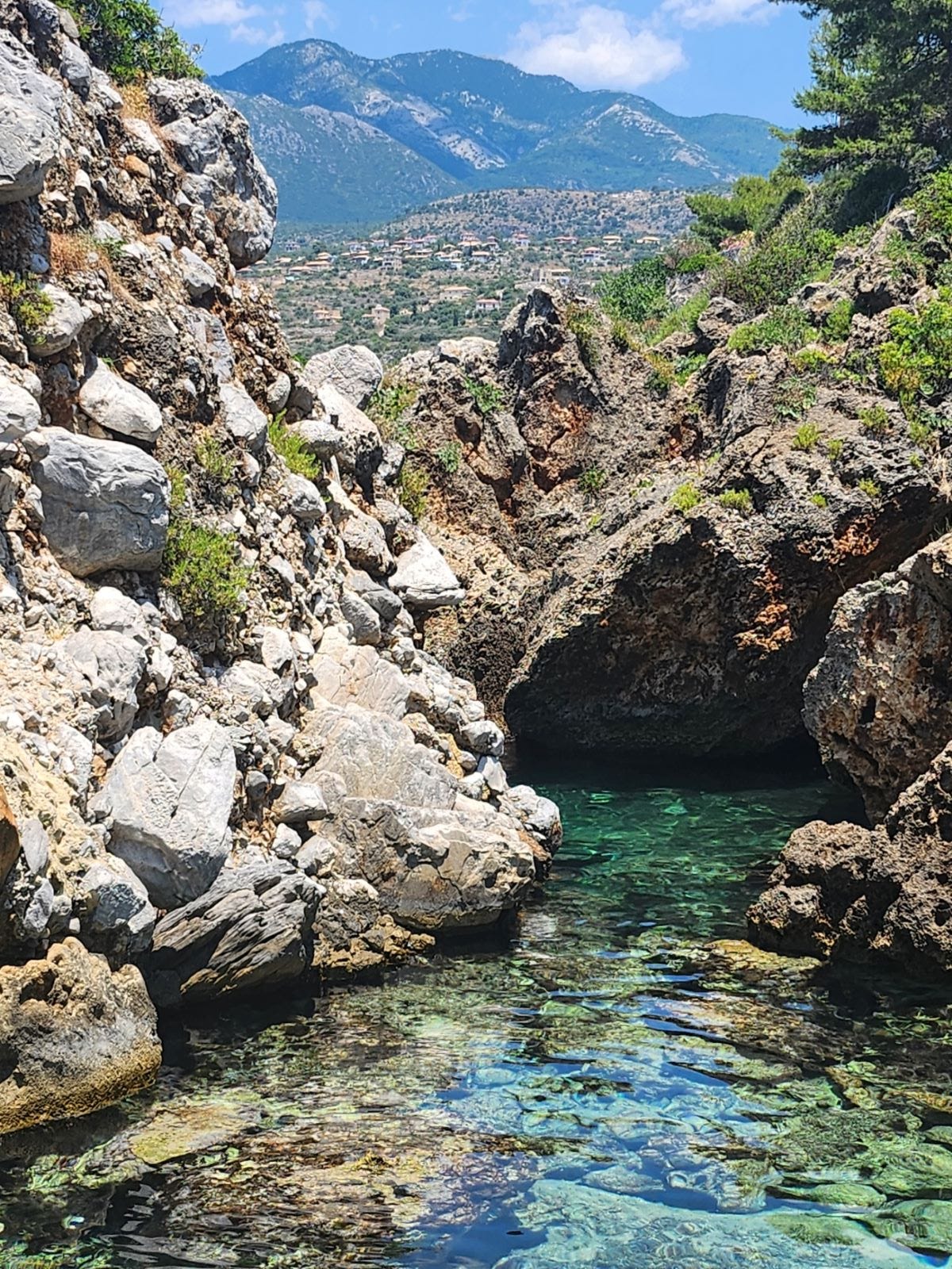 The Adventures of Snowy - Week 86 - Snowy’s Newsletter