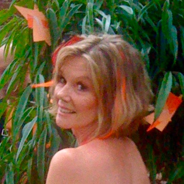 Kristin Fellows | Substack