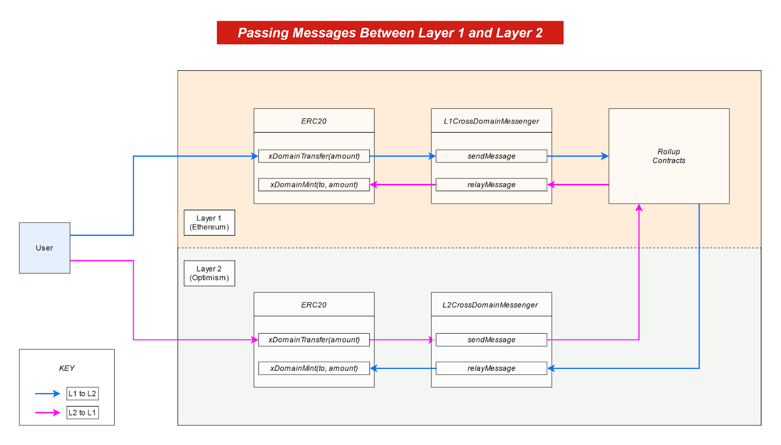 ZK vs Optimistic - Foresight News EN