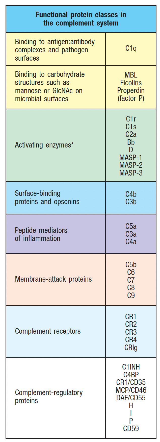Why antibody levels do not equal "immunity": Part 3