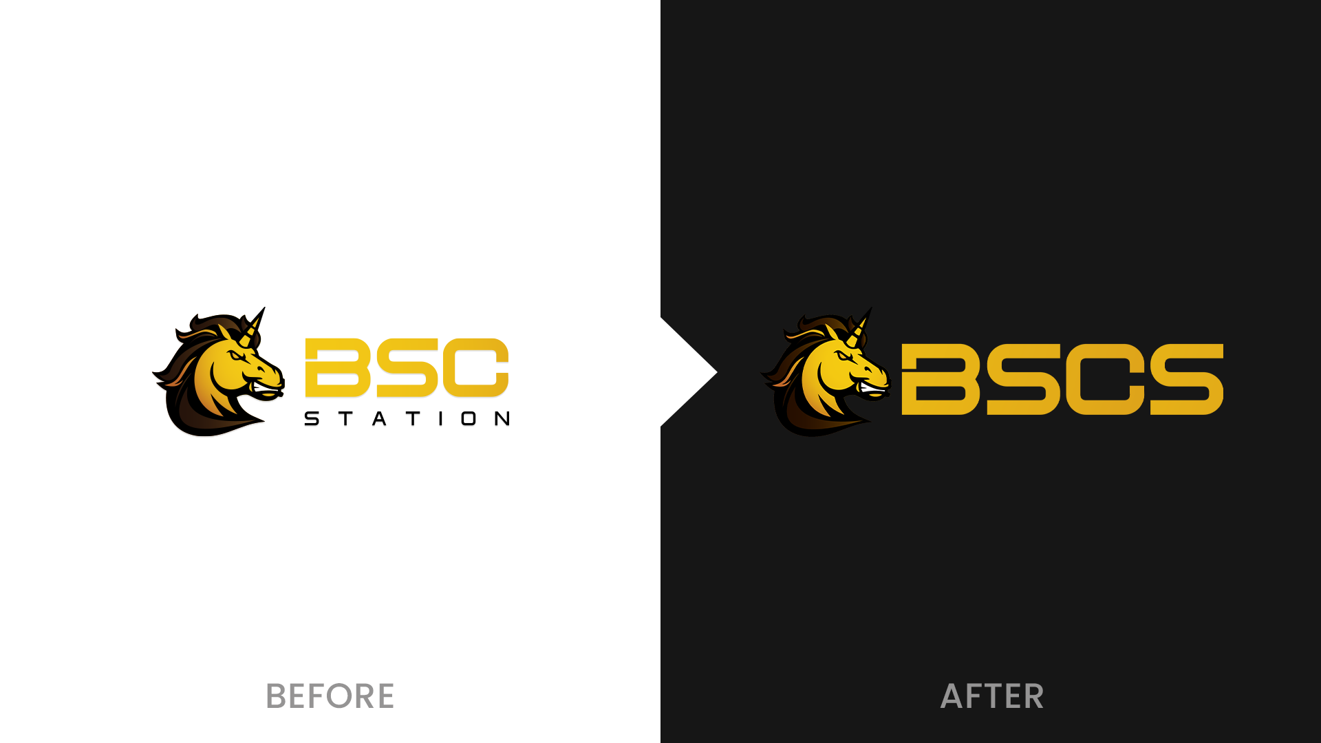 📣 Introducing BSCS: Rebranding Announcement 📣