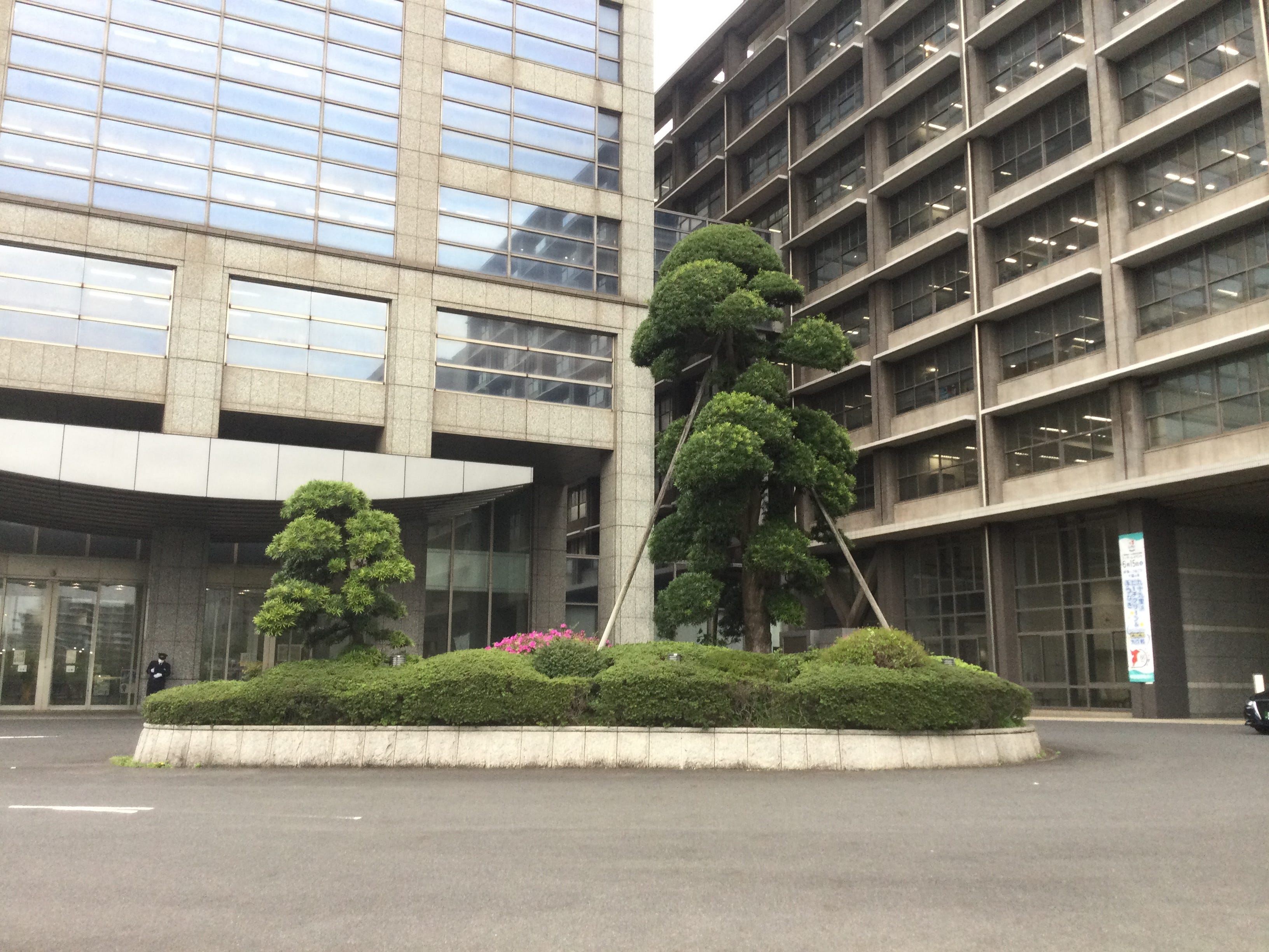 Turning over a new leaf in Chiba - by Elizabeth Scally