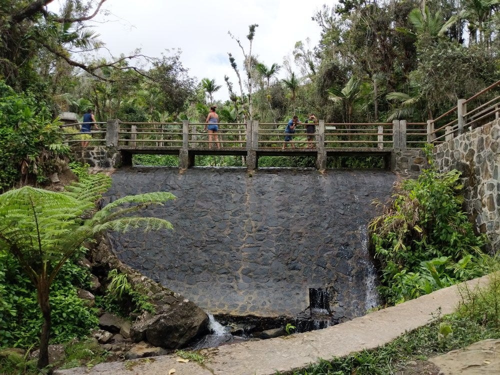 Rainforest Dam Hydrology - a travel case study