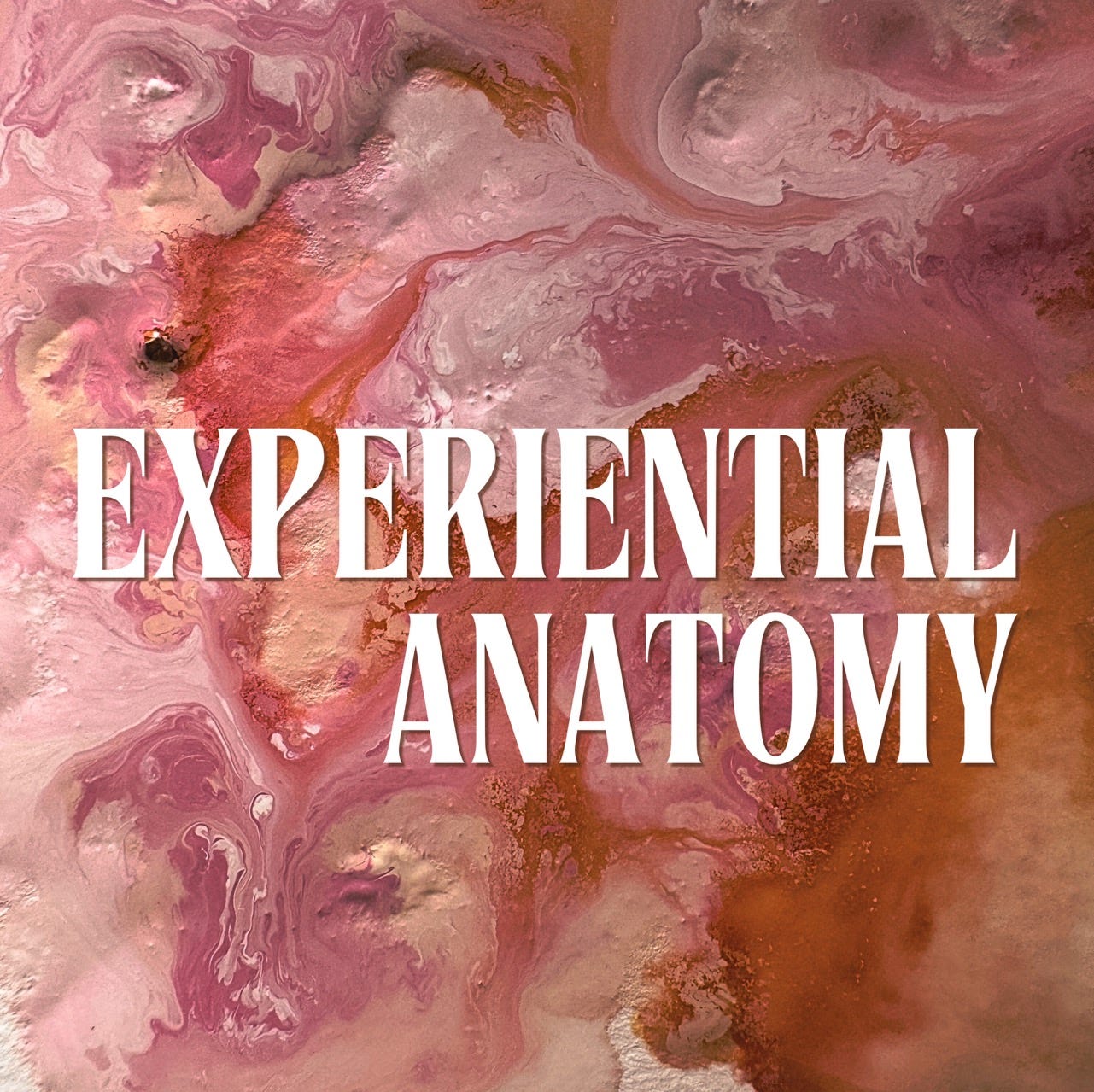 Experiential Anatomy | Substack