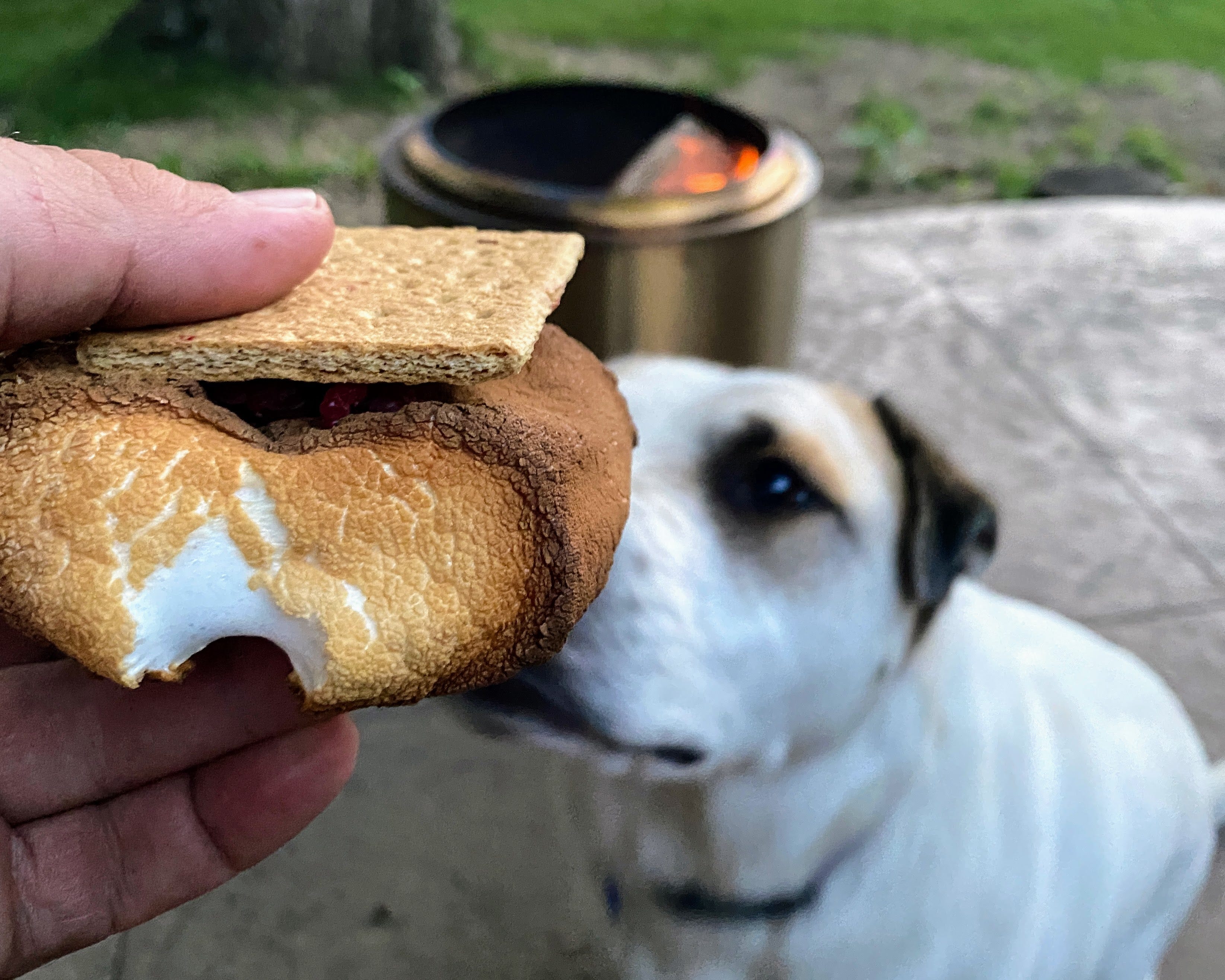 S'mores: The Classic Treat Taking Over the Food World