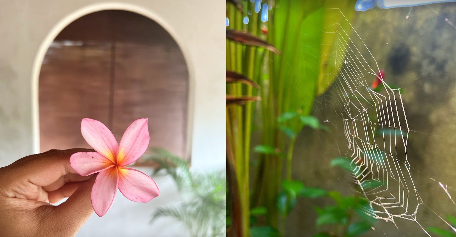 #23: Bali Calling - by Ila Reddy - आईना