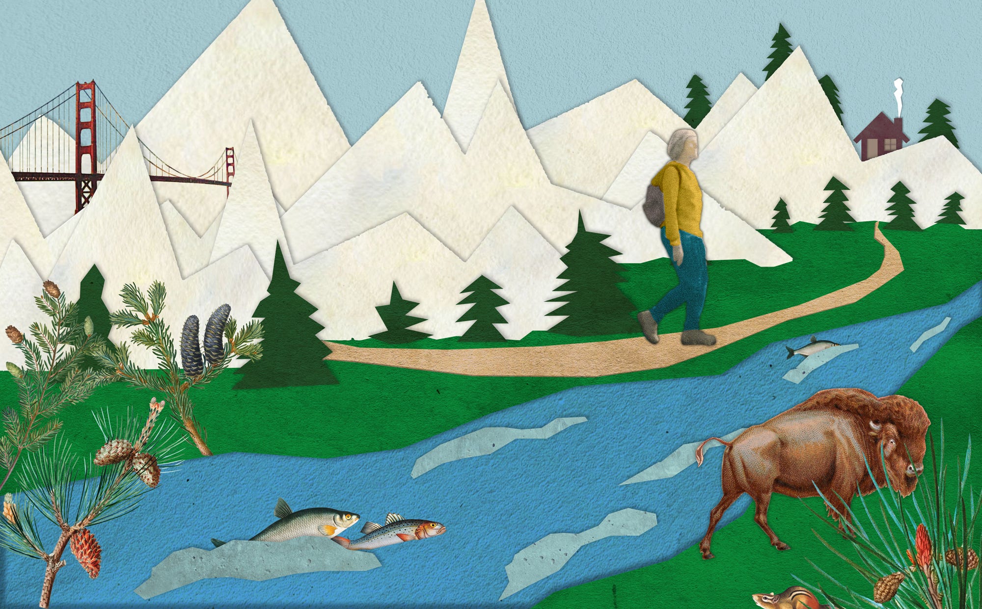 The Inconvenience of It All Cheri Block Sabraw – Mesh News Project