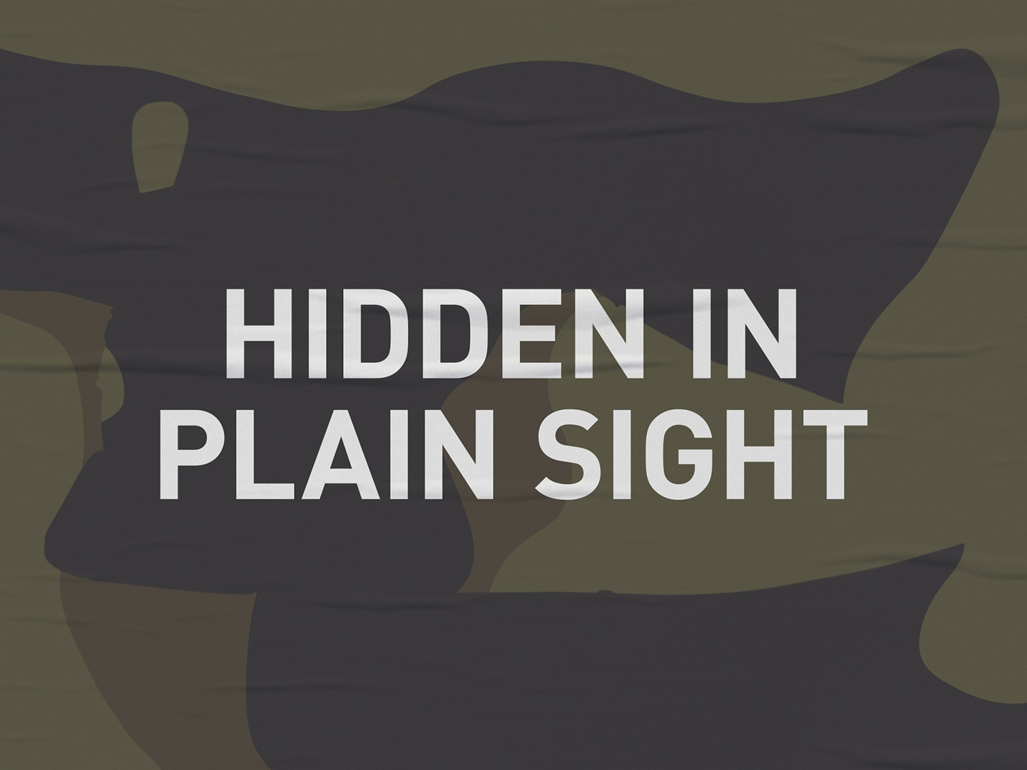 Pittsburgh Post-Gazette: A mother speaks out about "profound autism"