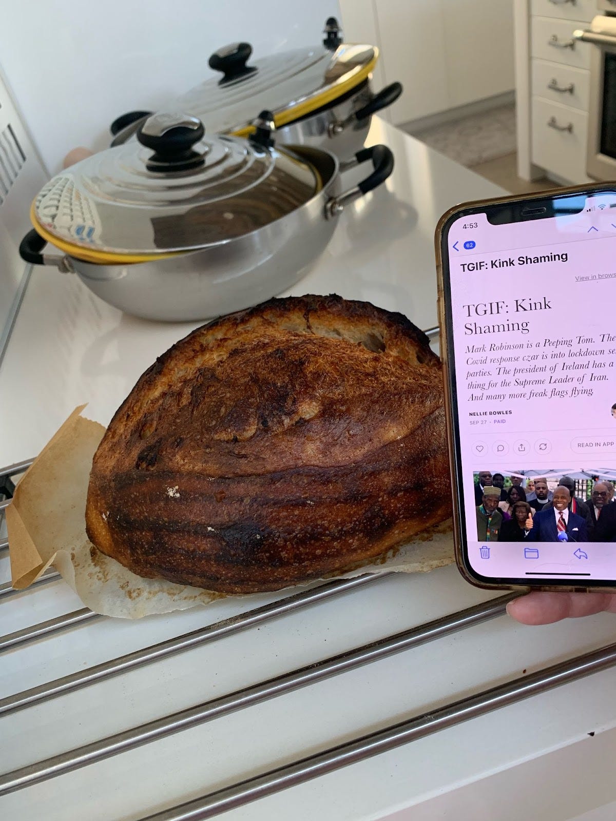 TGIF: Justice for Bear 402 - by Katie Herzog