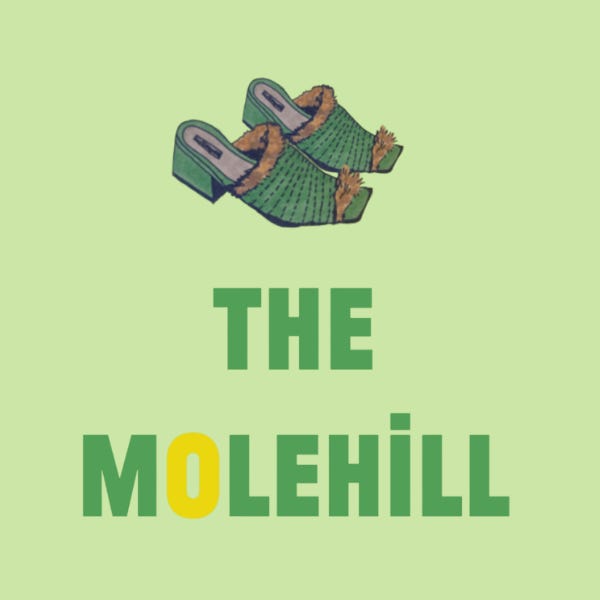 The Molehill subscriber chat
