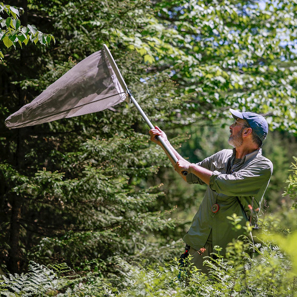 Bryan Pfeiffer | Substack