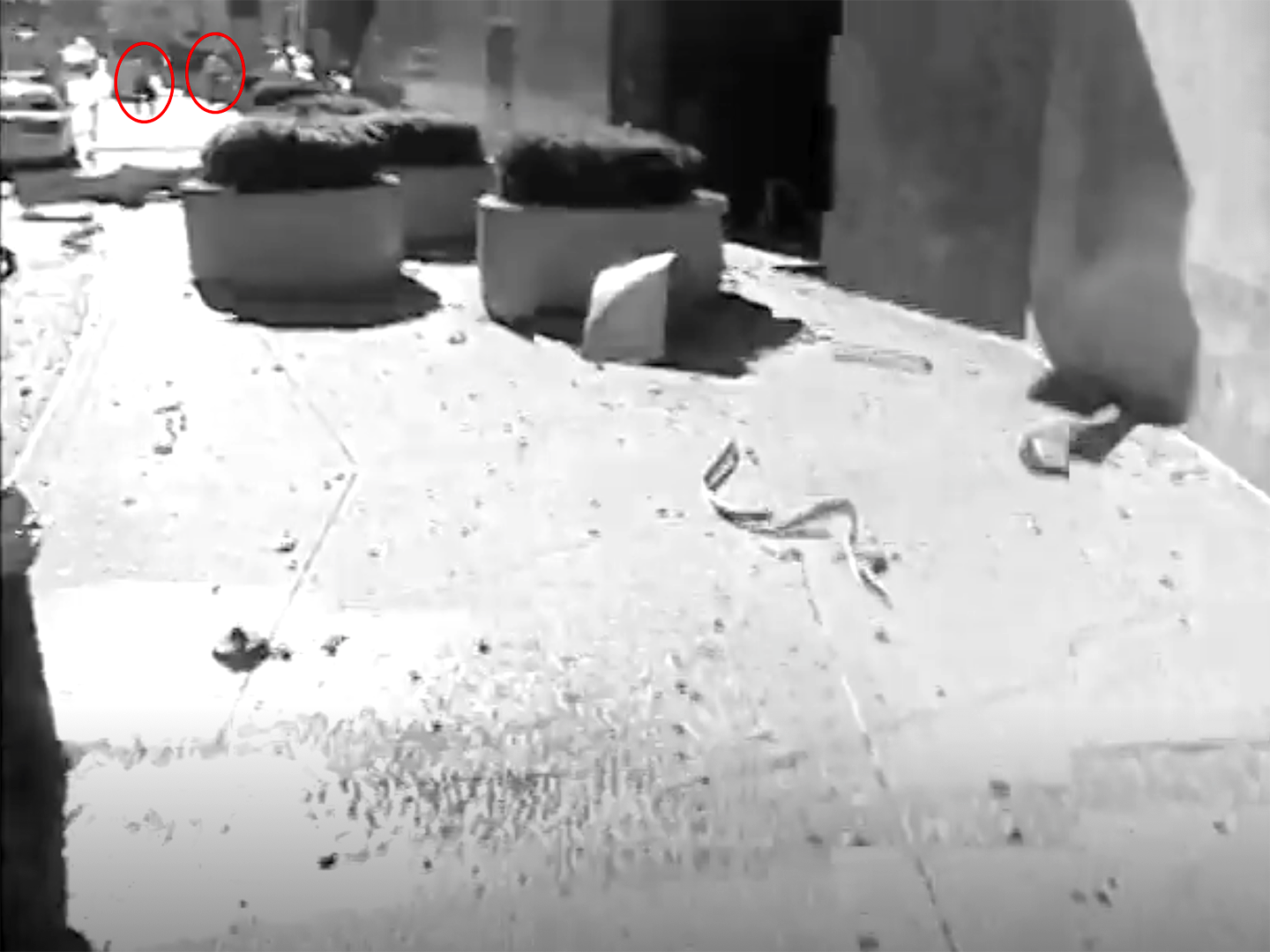 The Search for 9/11 Lost Media