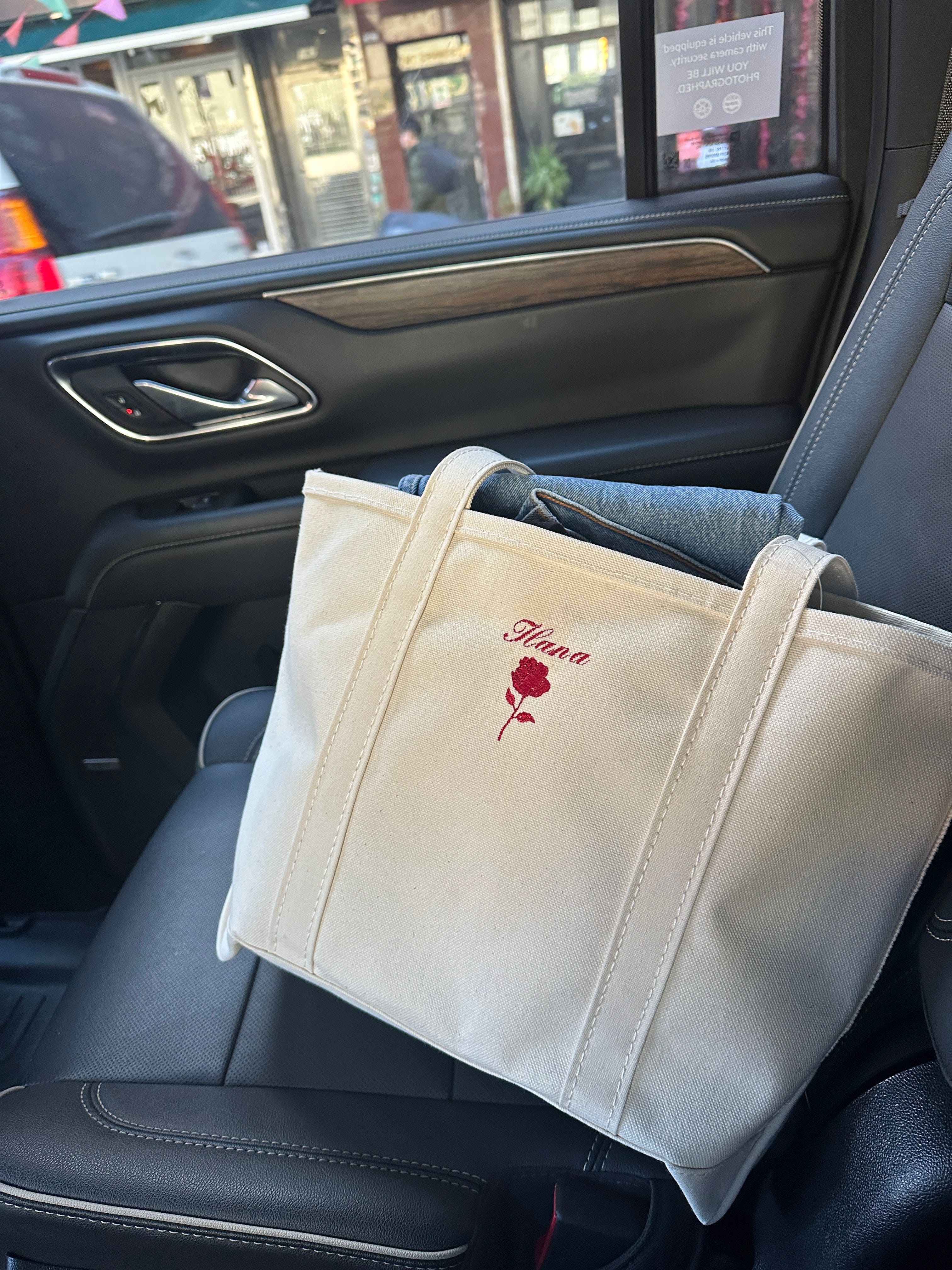 "Diaper Bags" - by Ilana Torbiner - Ilana’s Substack