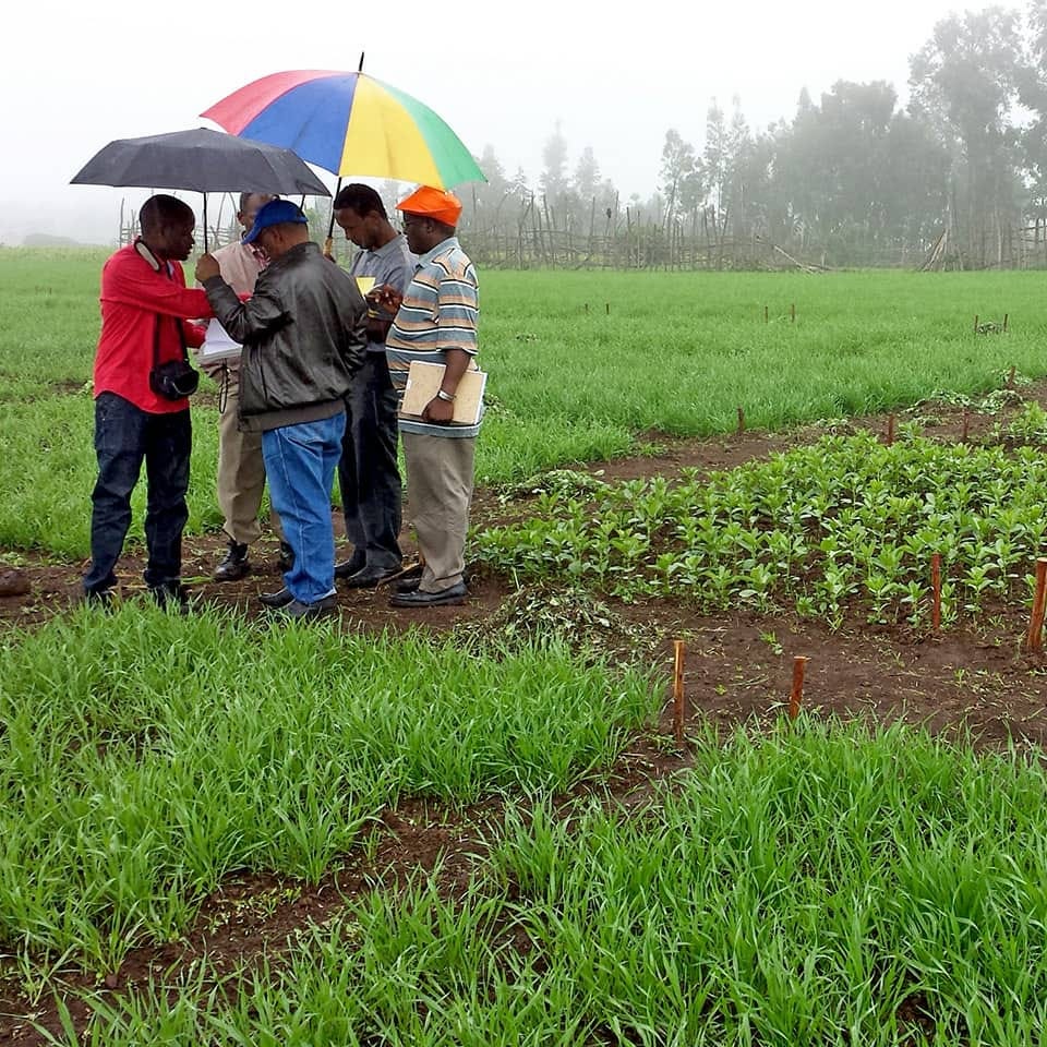 LUANAR Introduces Innovative Fertilizer Optimization Tool to Transform ...