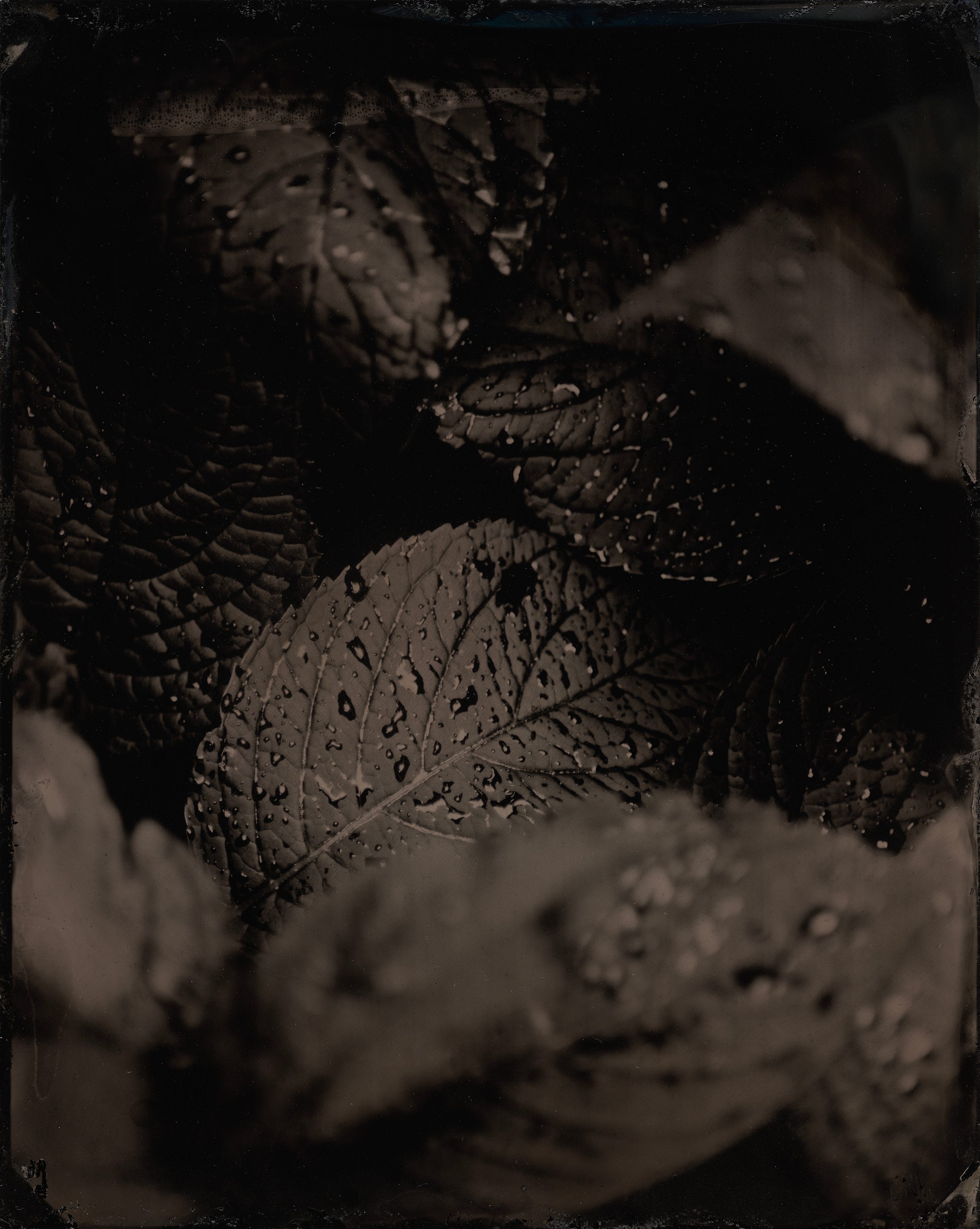 Five Photographers and a Call for Curators - by Andy Adams