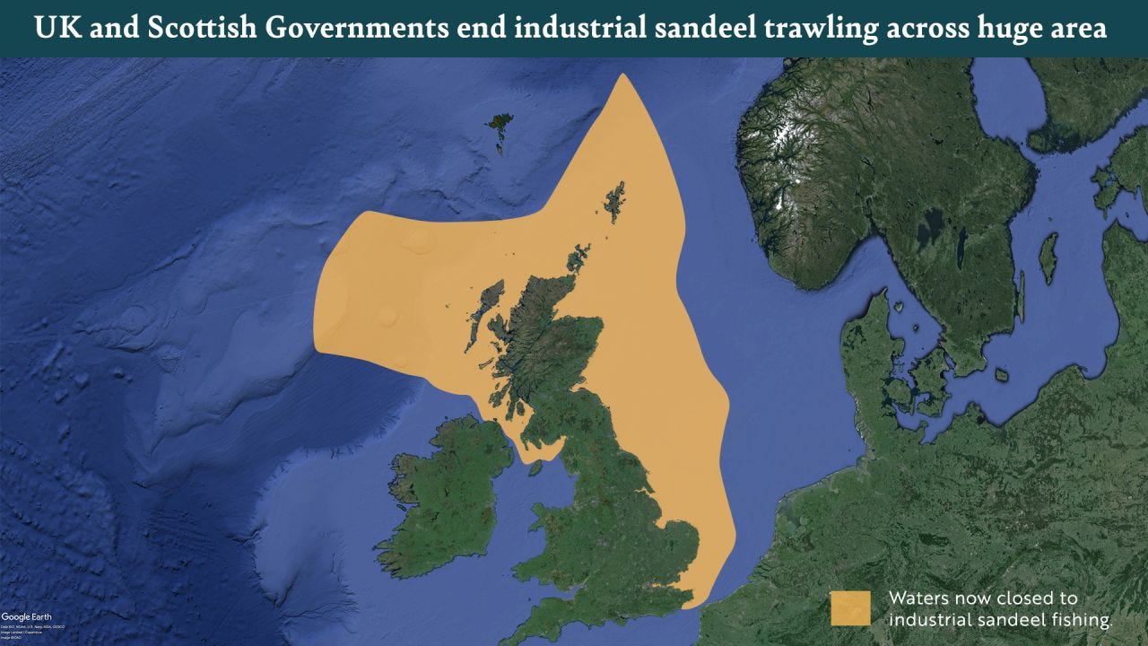 🌱 The Grumpy Optimists #125 - The Grumpy Optimists