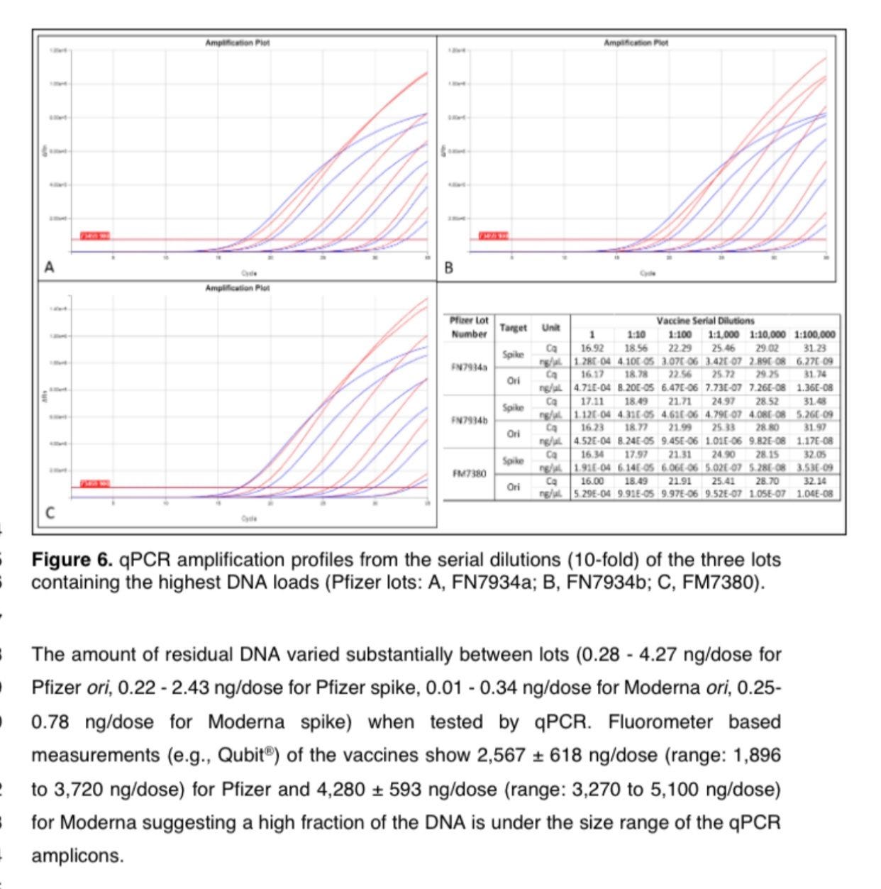 DNA fragments detected in monovalent and bivalent Pfizer/BioNTech and ...