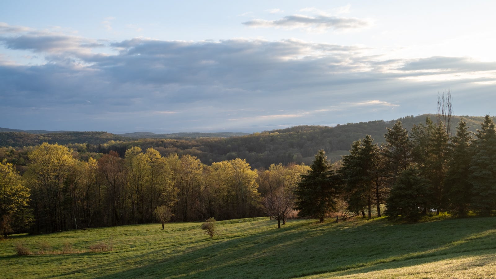 Ten ways to measure height - by Barry McWilliams