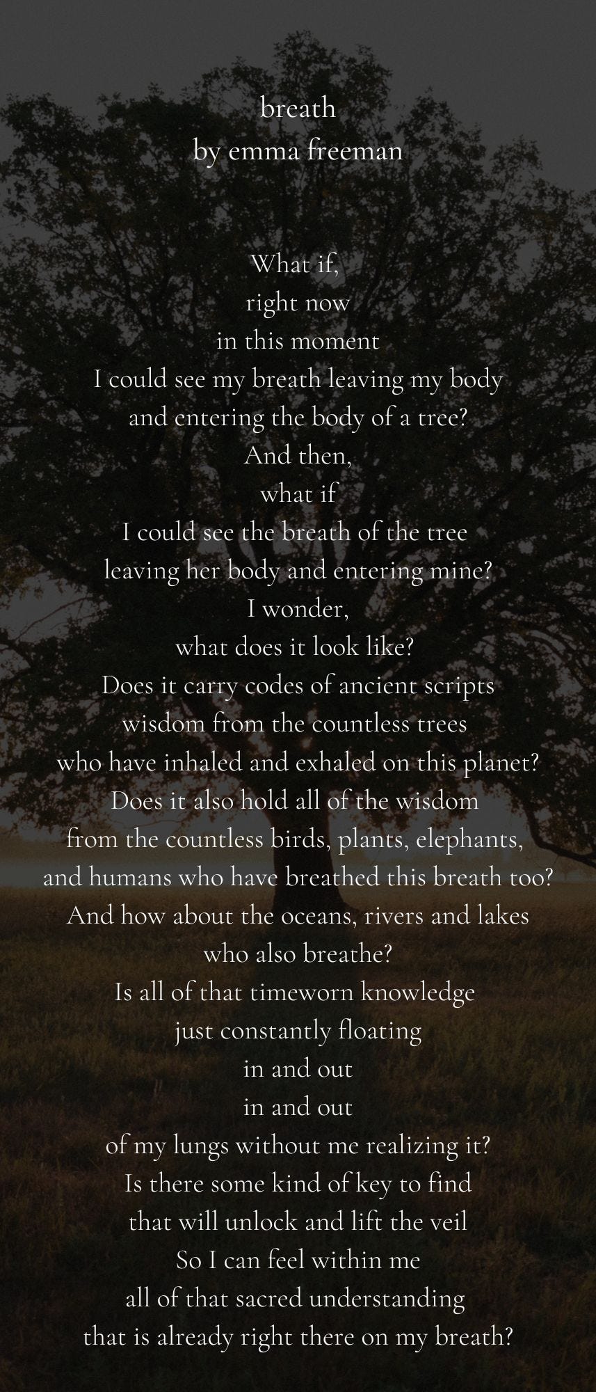 breath - The Deep and Quiet: Soul Writing by Emma Freeman