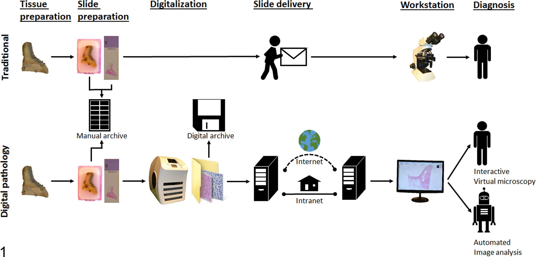 Veterinary Cytology Goes Digital - by Eric Fish, DVM