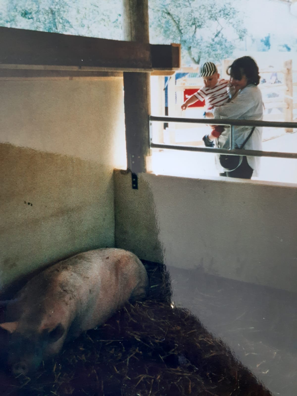 Sewing a seed - by Hugo Harrison - From the farm