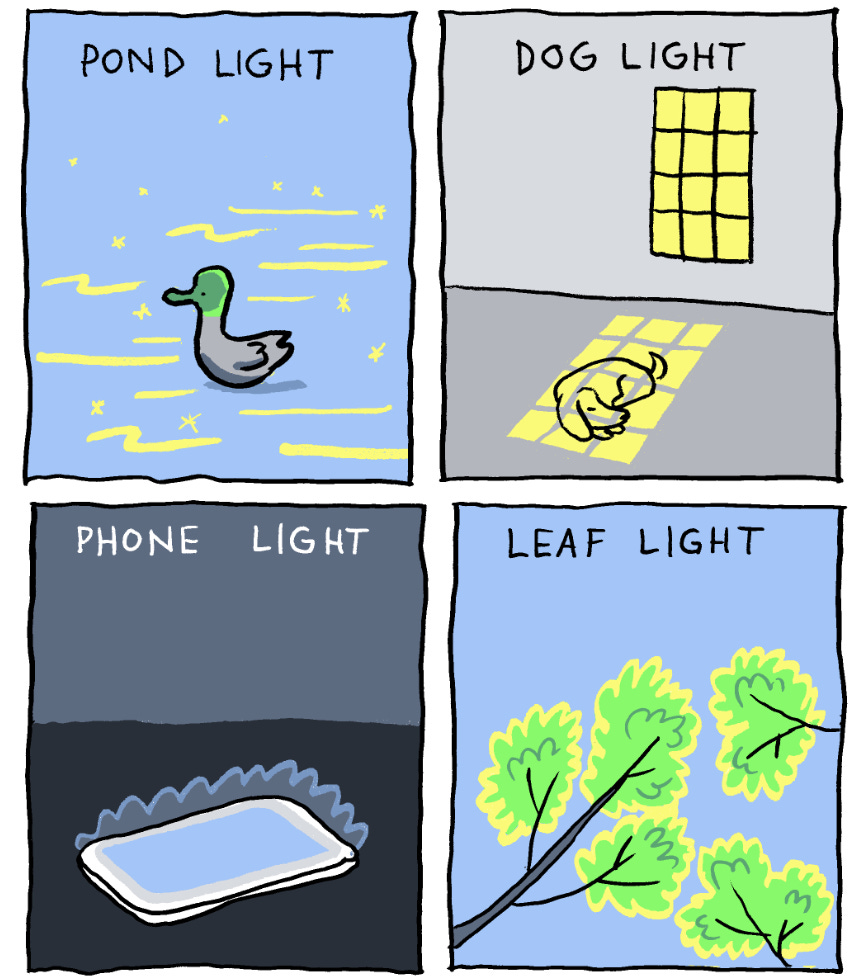 Types of Light - by Grant Snider - Incidental Comics