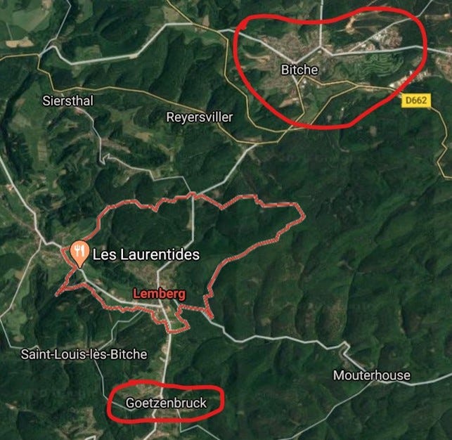 The First Battle for Lemberg - by Patricia Morse